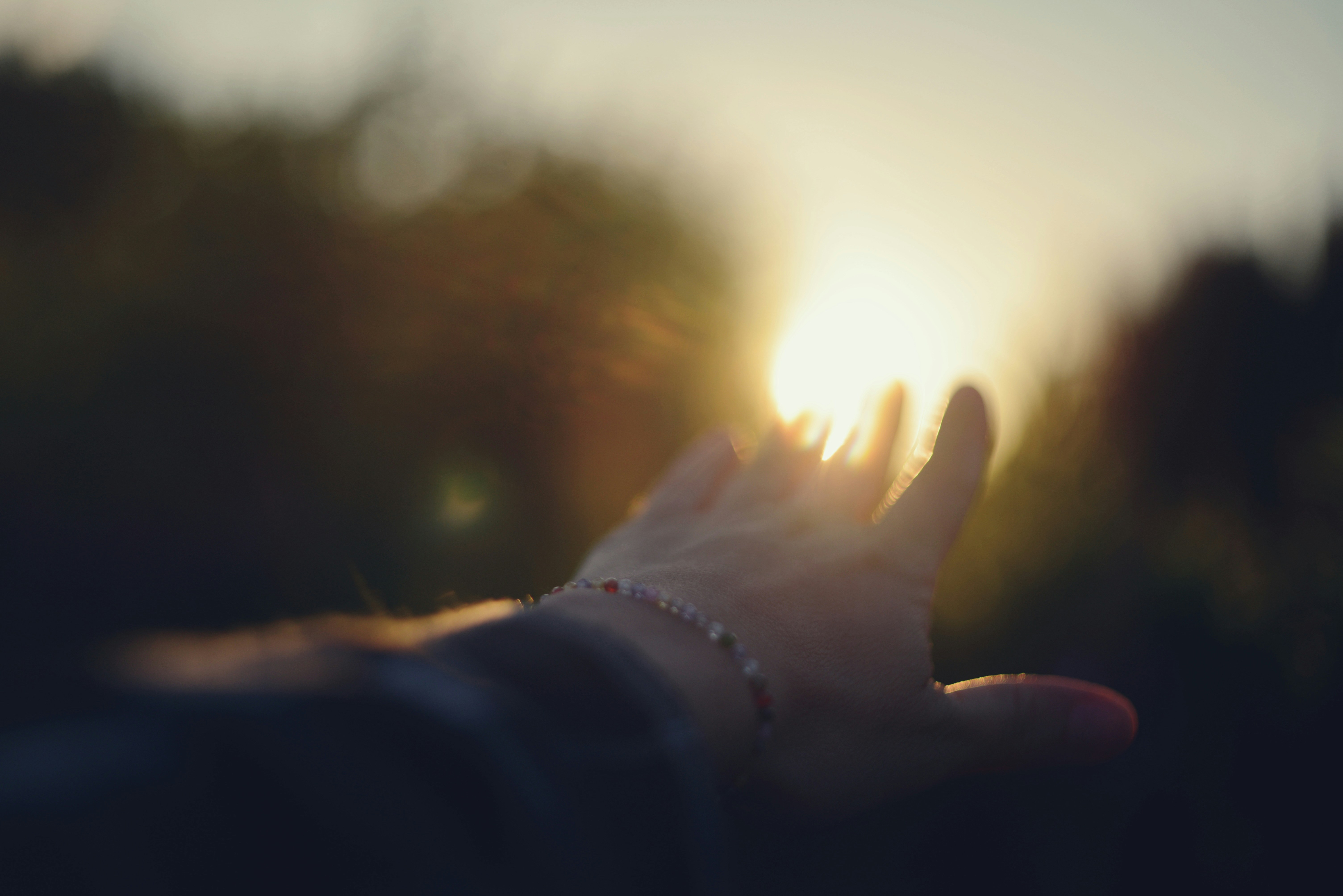 Sunlit Reach: A Hand Pursuing the Dimming Horizon