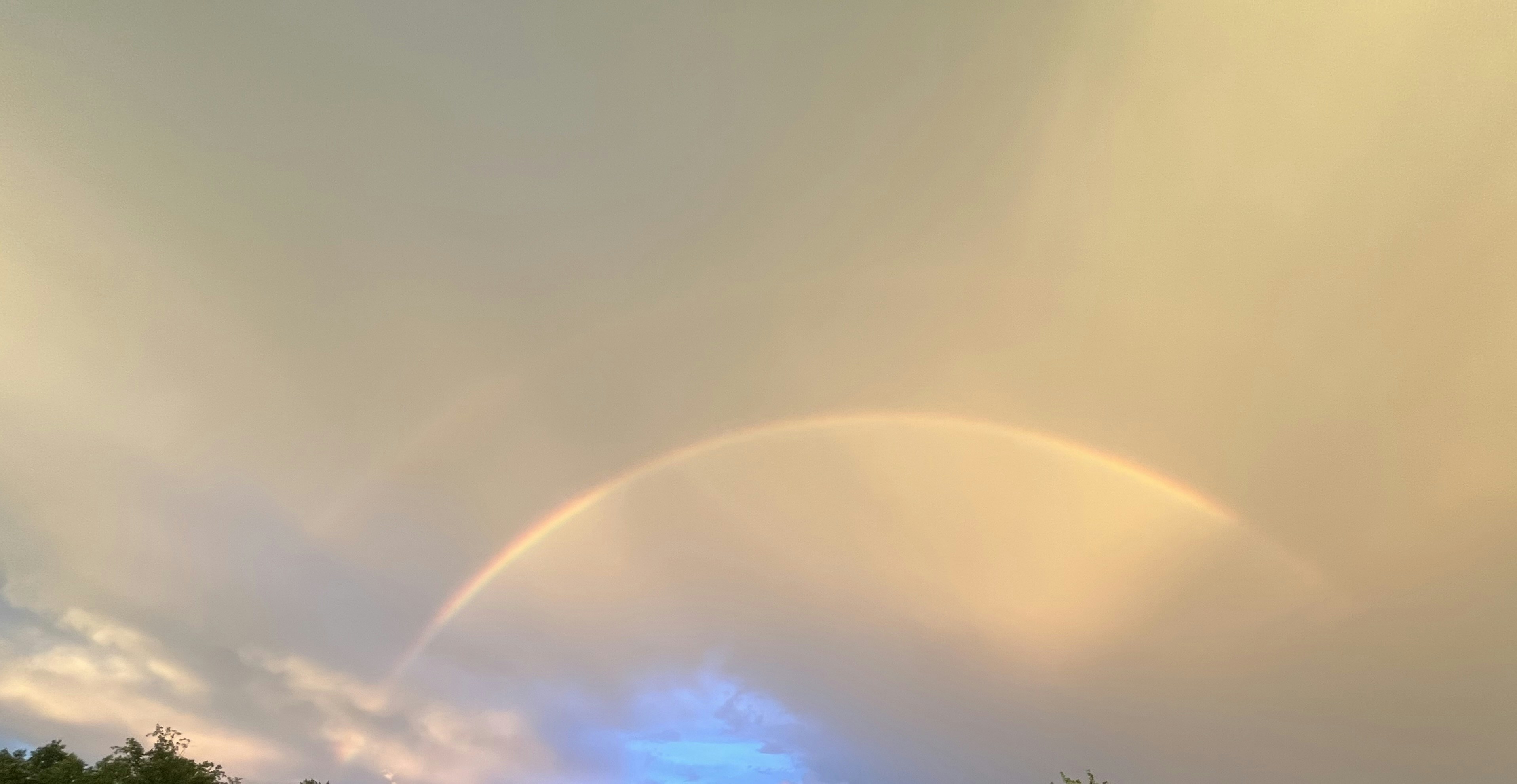 A pale double-arc rainbow glides above a calm horizon with warm-toned clouds; foreground minimal with treetops at the bottom edge, suggesting a tranquil outdoor scene.
