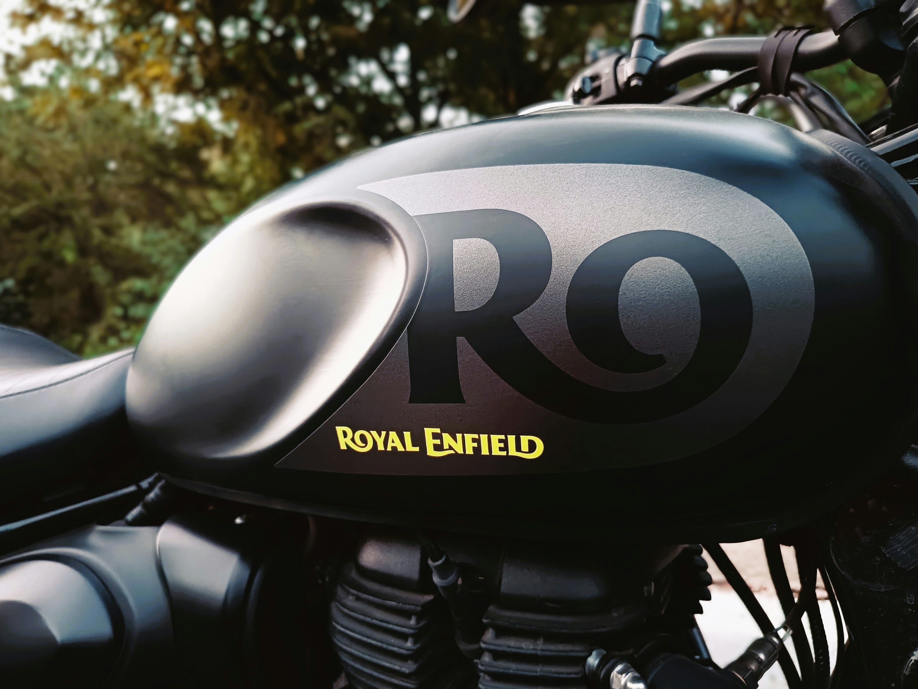 Close-up of a Royal Enfield motorcycle tank with bold logo and metallic finish, foregrounded by engine details and a blurred natural background.
