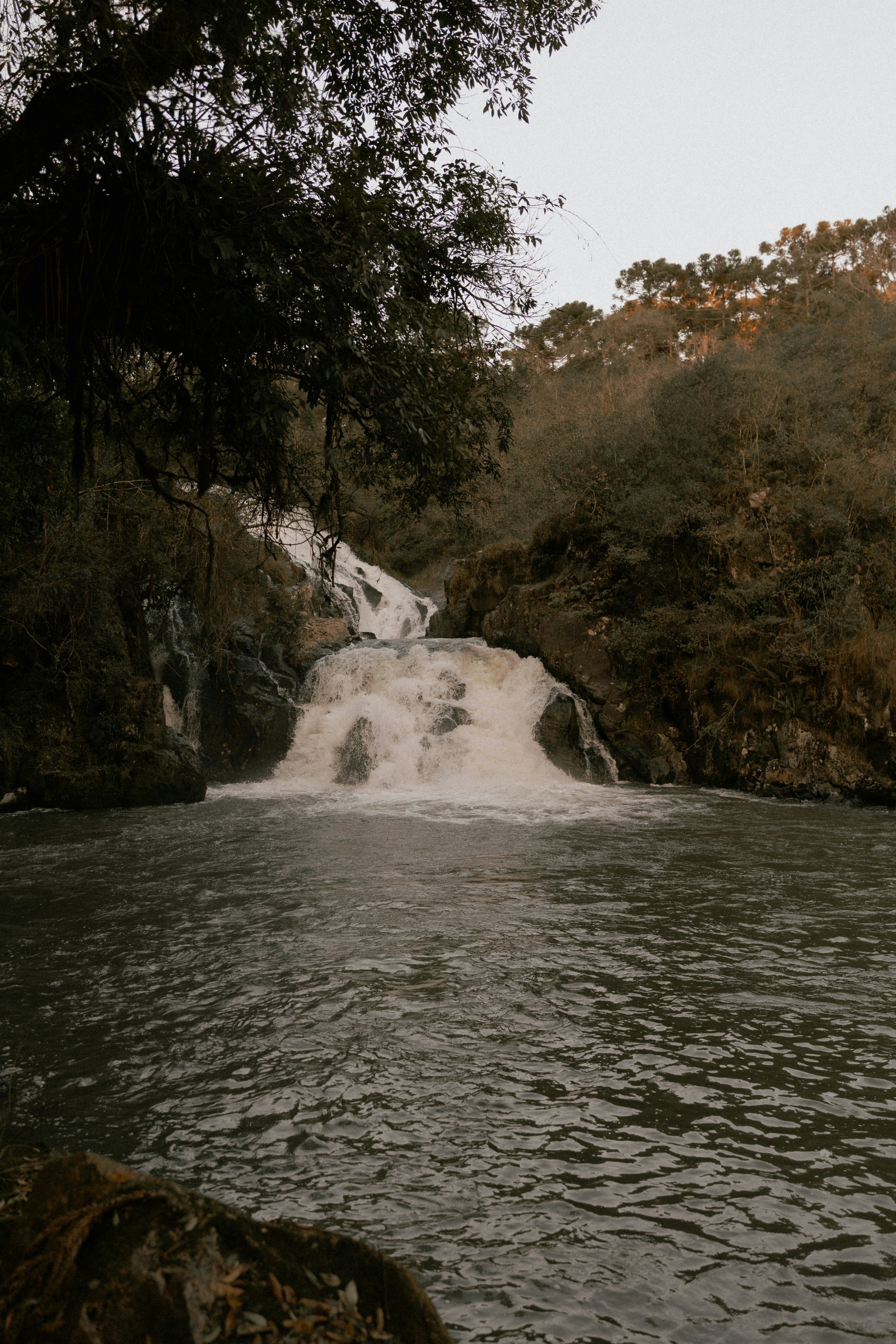 Waterfall Corridor: A Quiet Cascade Between Dark Foliage