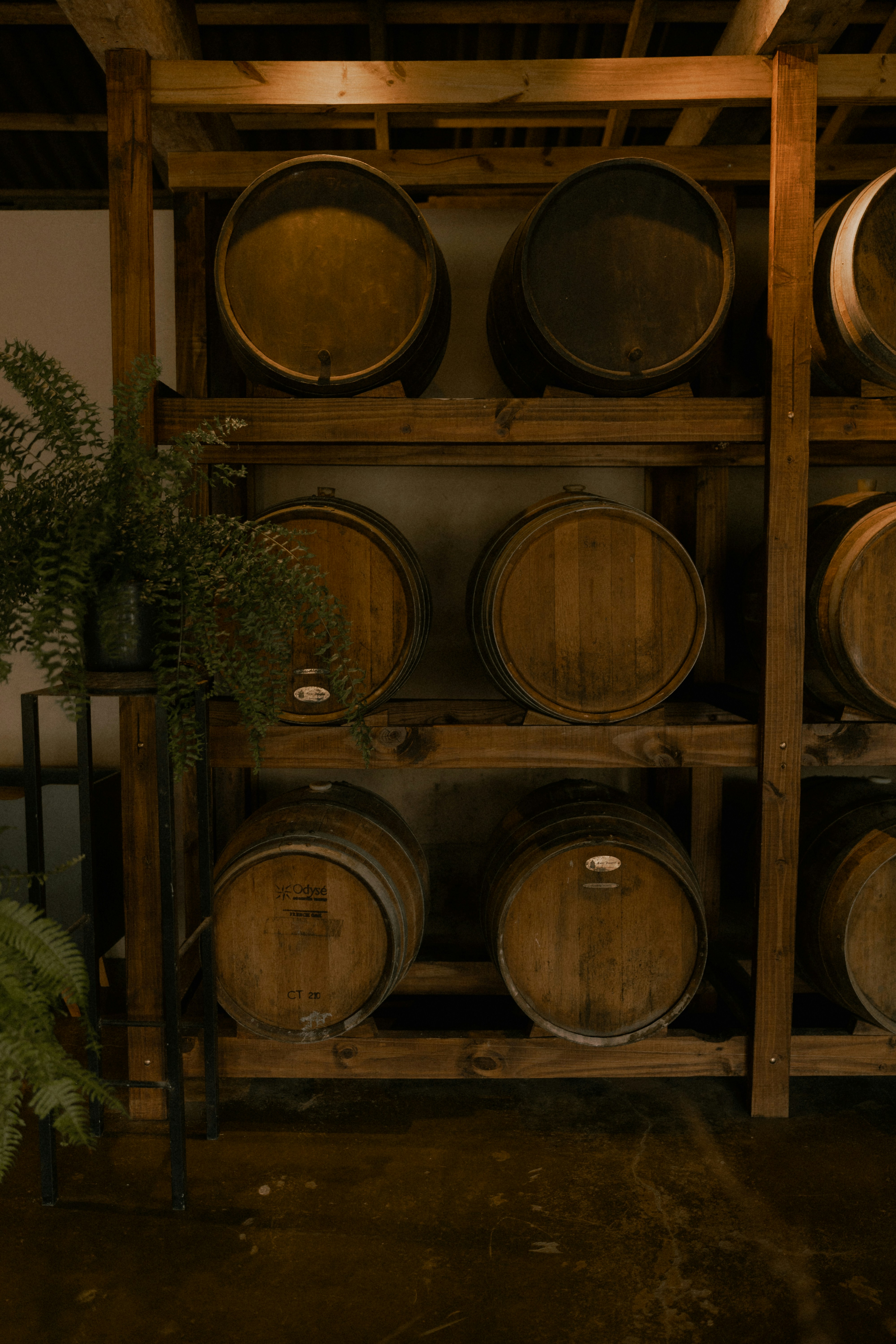 Warm Shadows of the Barrel Terrace