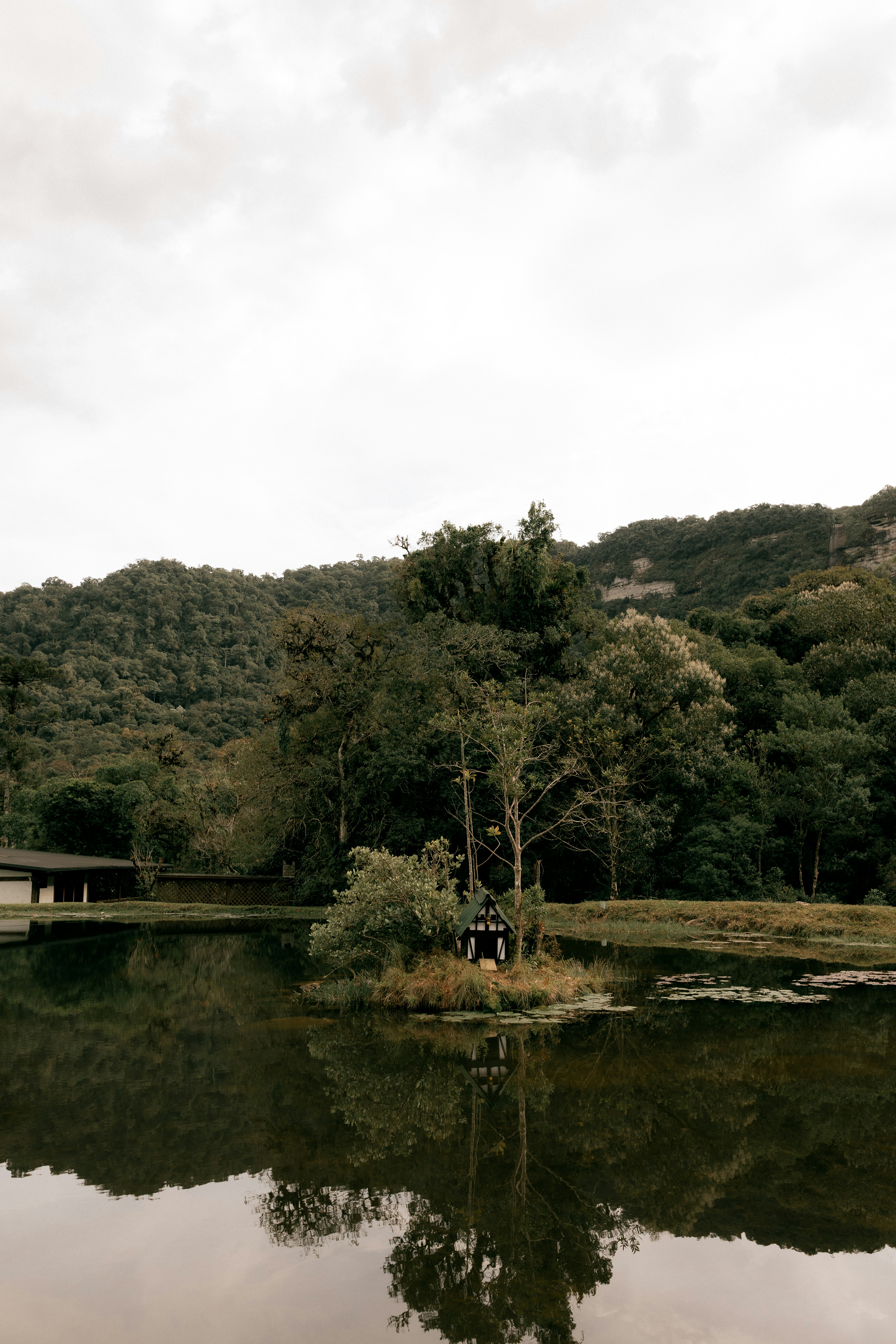 Floating Oak Sanctuary: A Quiet Lake House Standing Amid Water and Trees