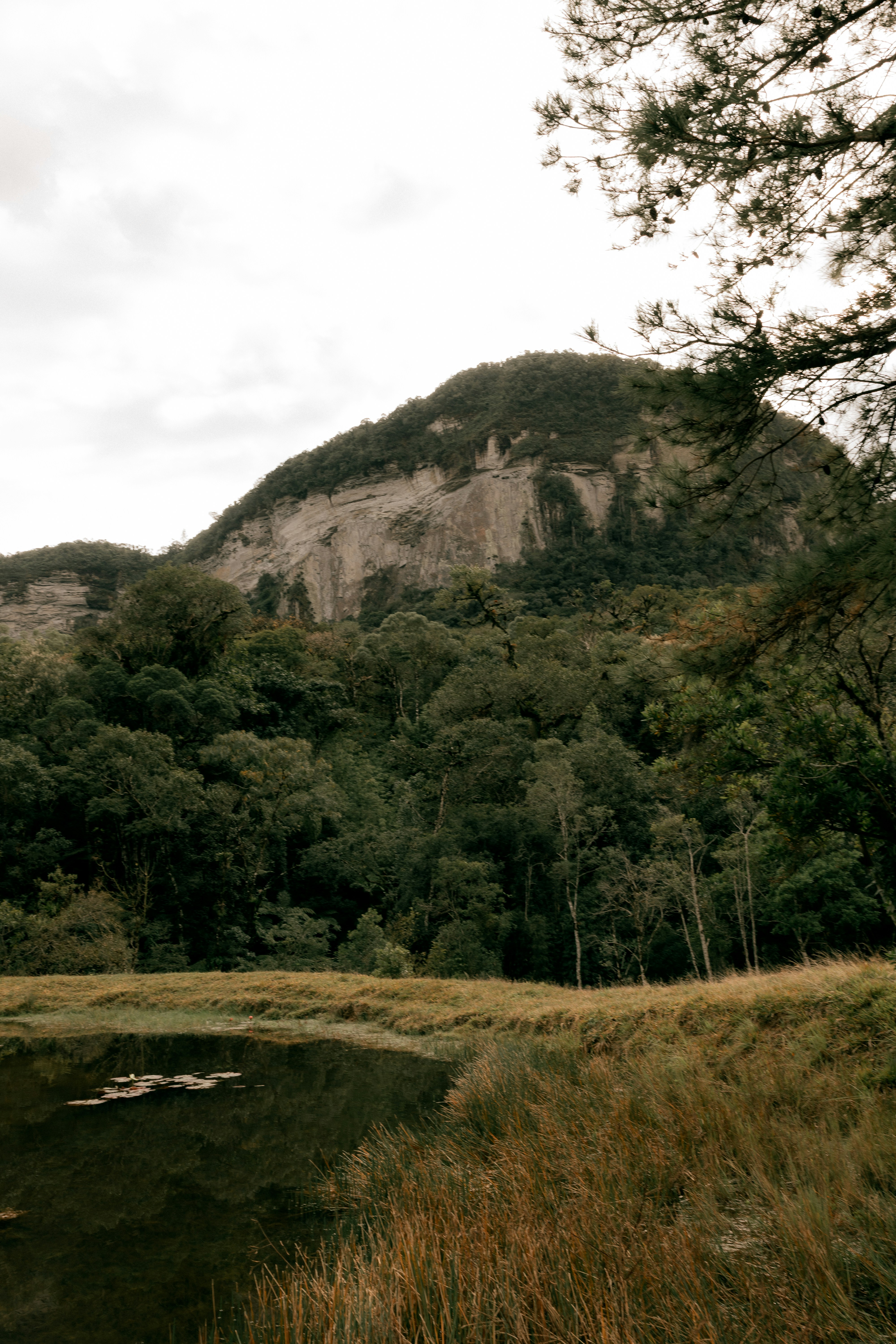 Echoes of a Quiet Basin: Trees, Water, and a Rocky Crest