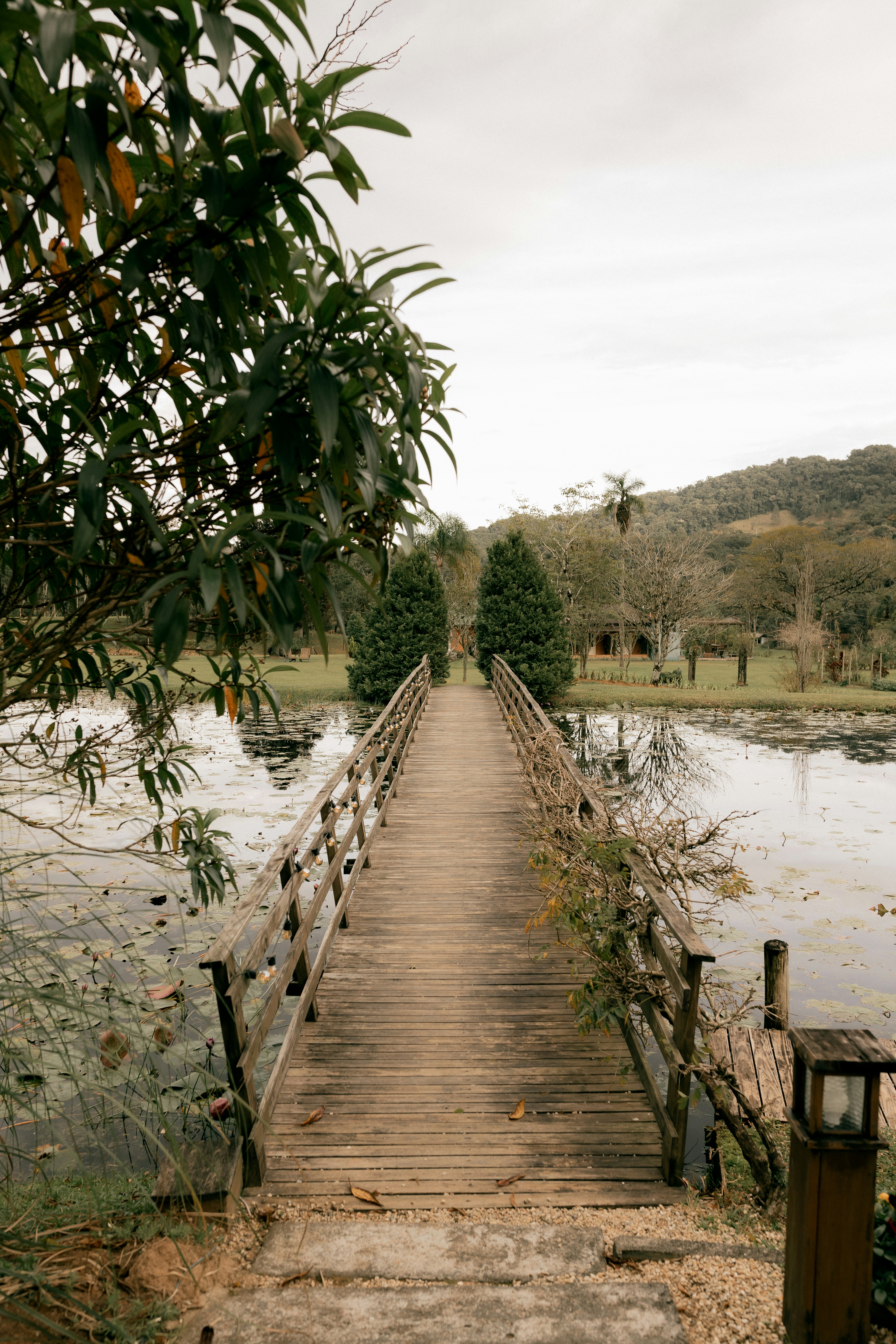 Bridge to Quiet Waters