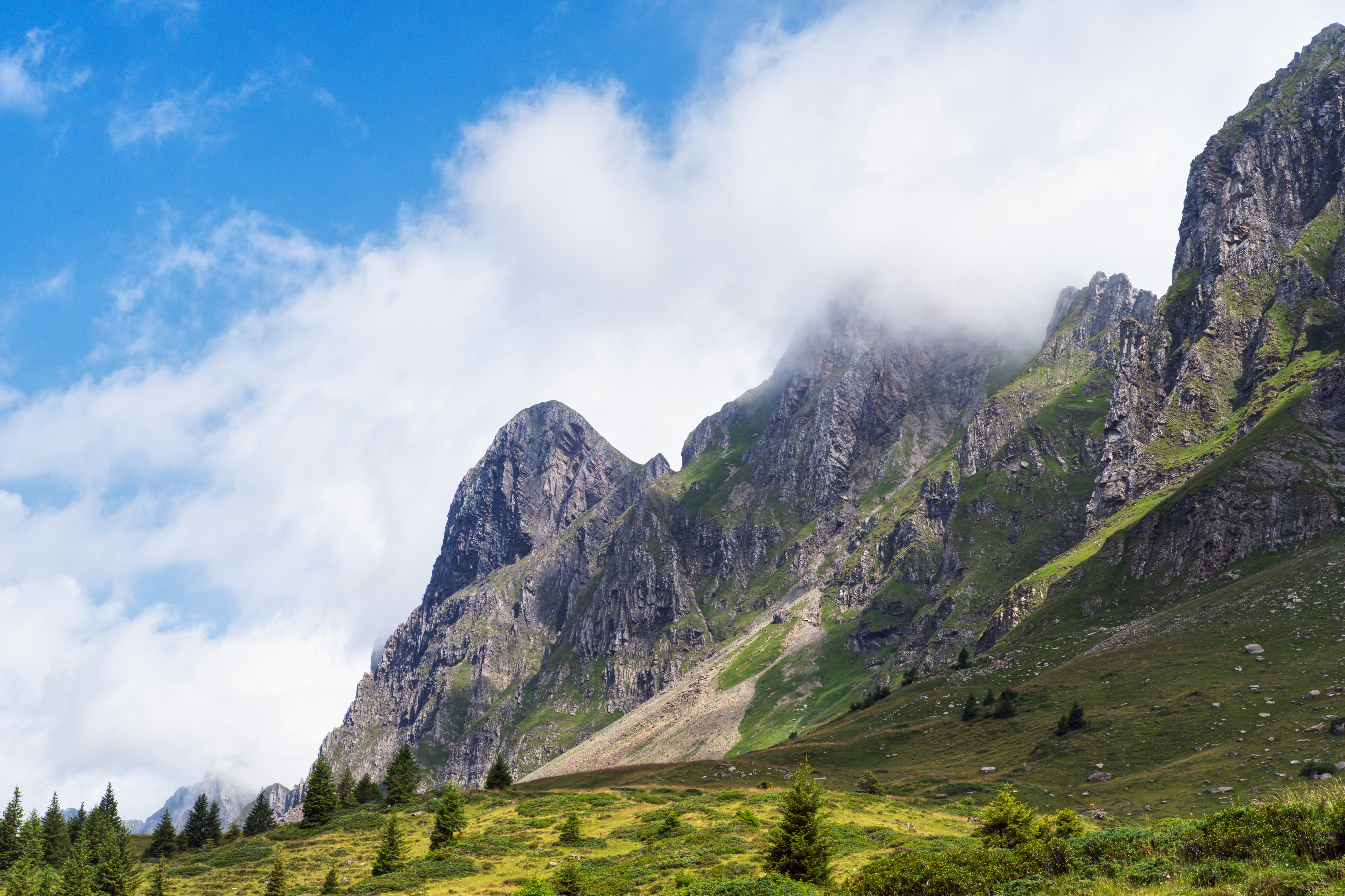Rugged Peaks Surrounded by Alpine Meadow beneath a Cloud-Cilled Sky