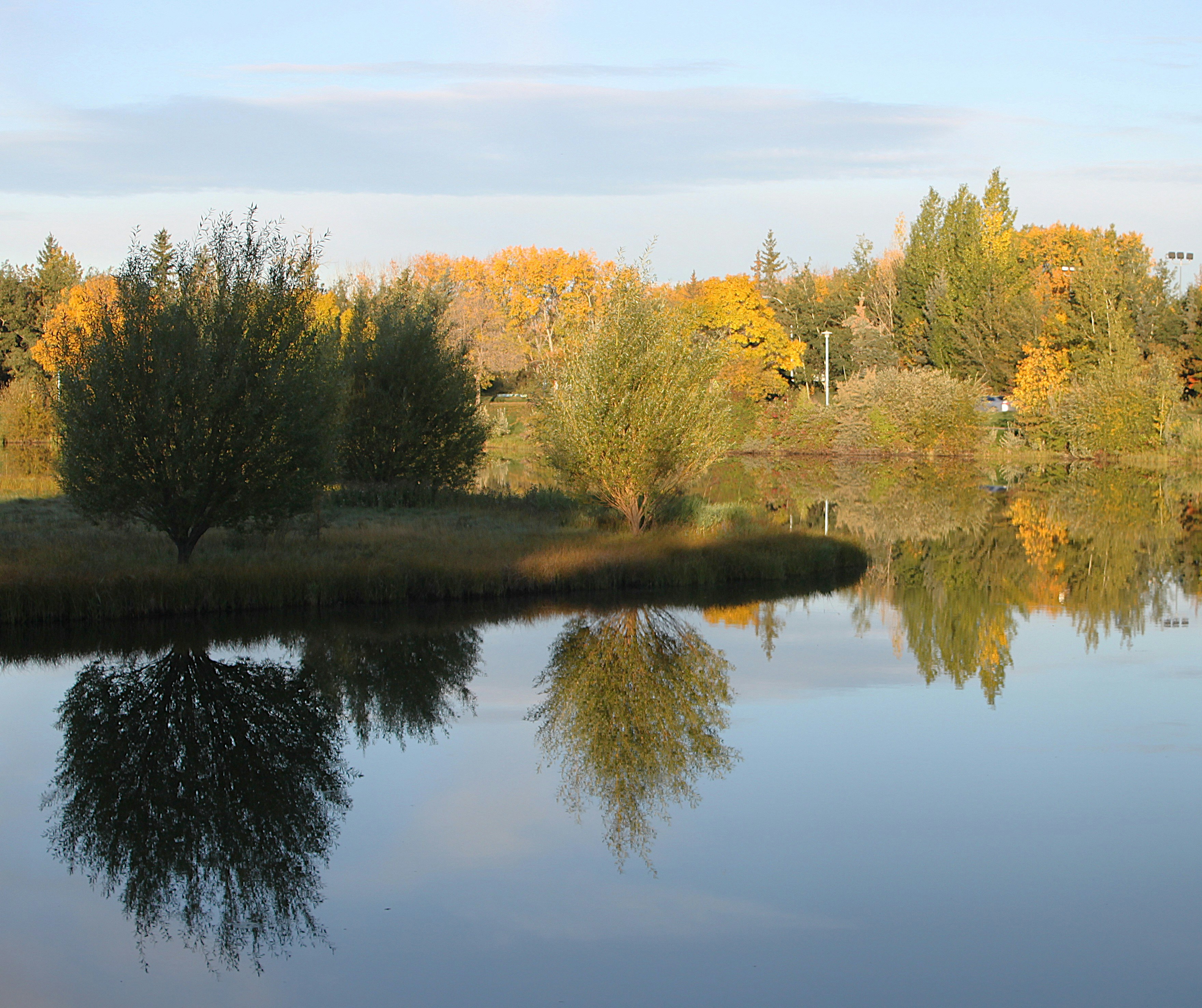 Autumn Quiet: Trees and Their Mirror in a Calm Lake