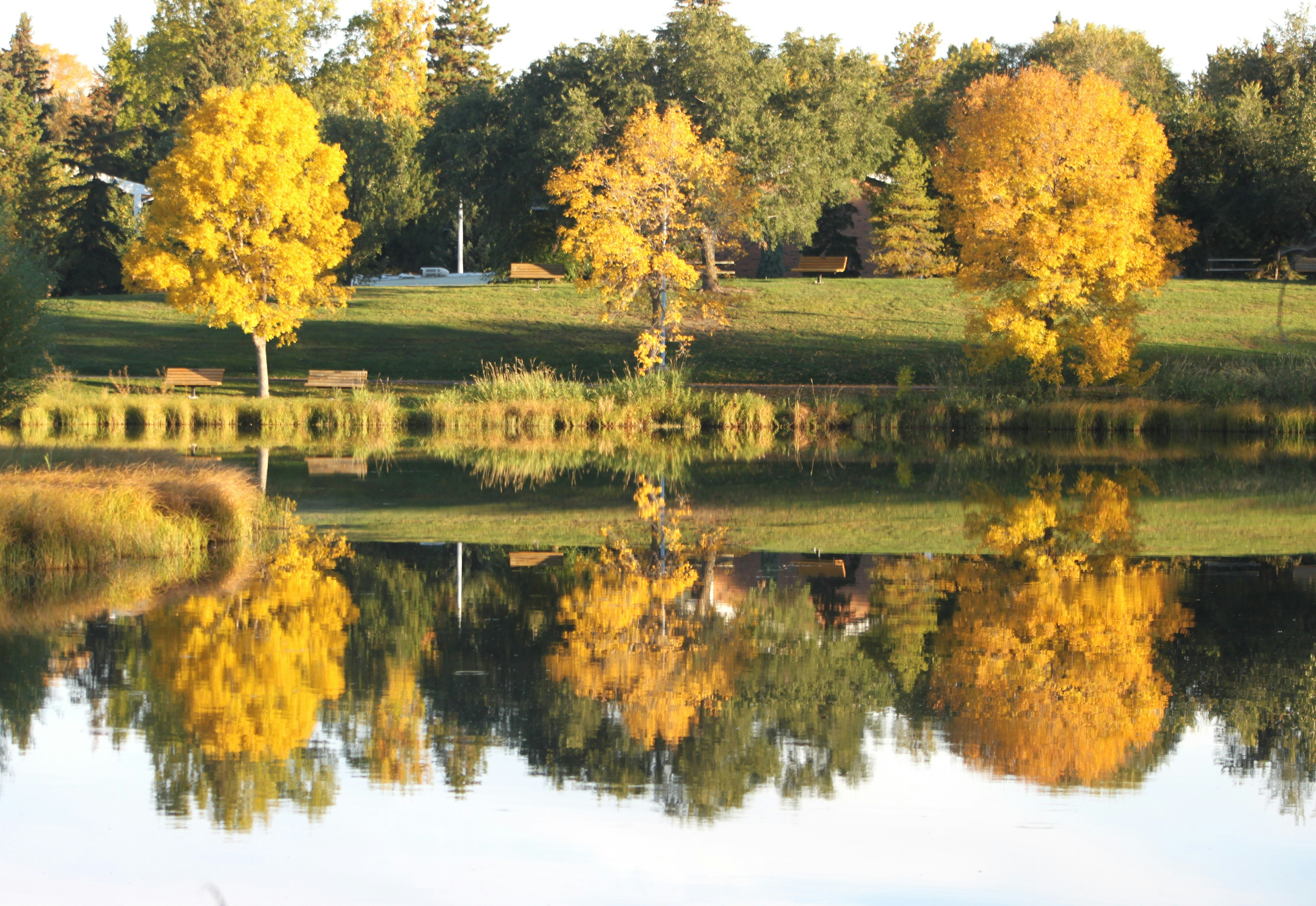 Autumn Crest by the Still Water