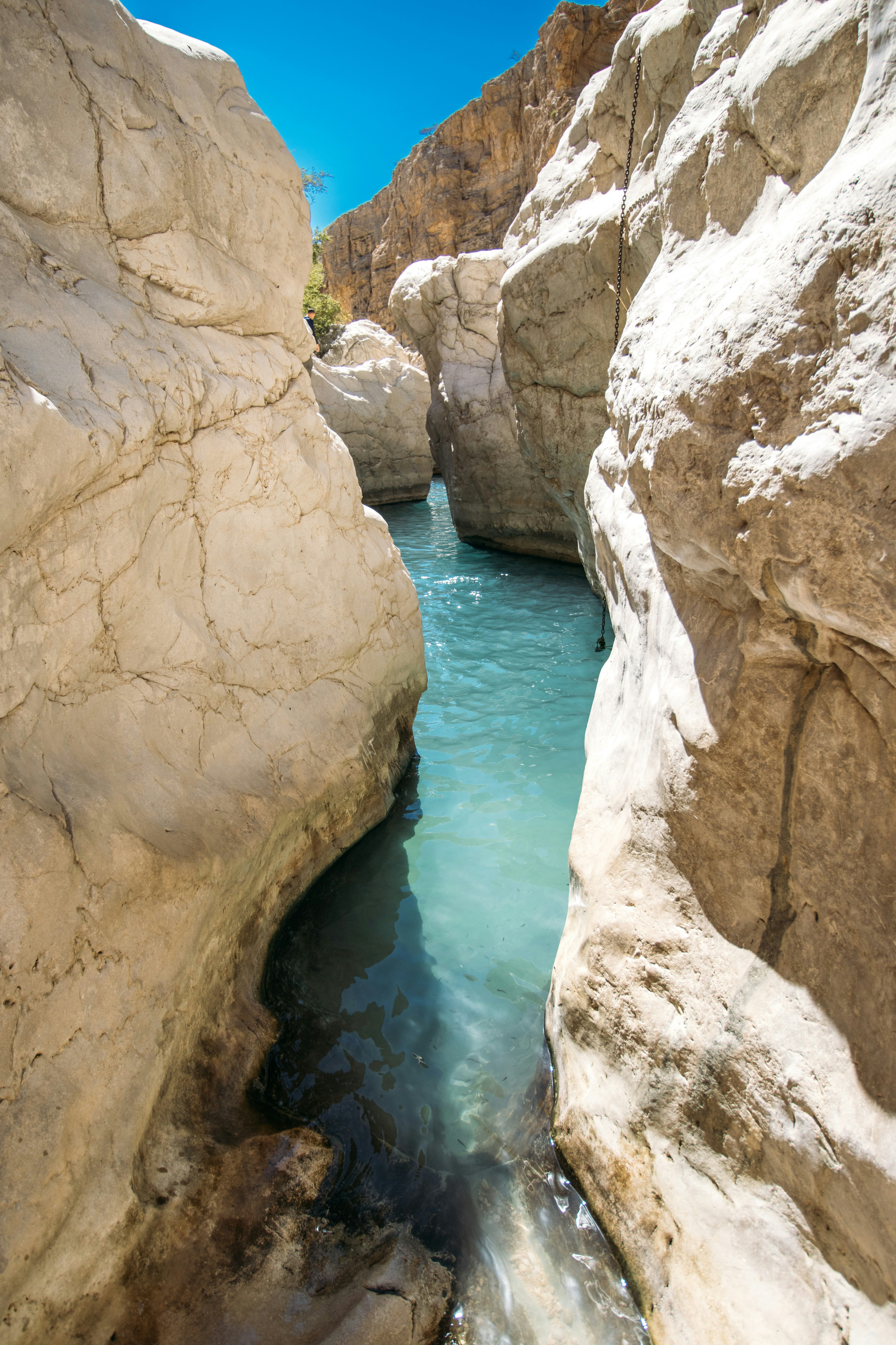 Emerald Channel Between Desert Giants
