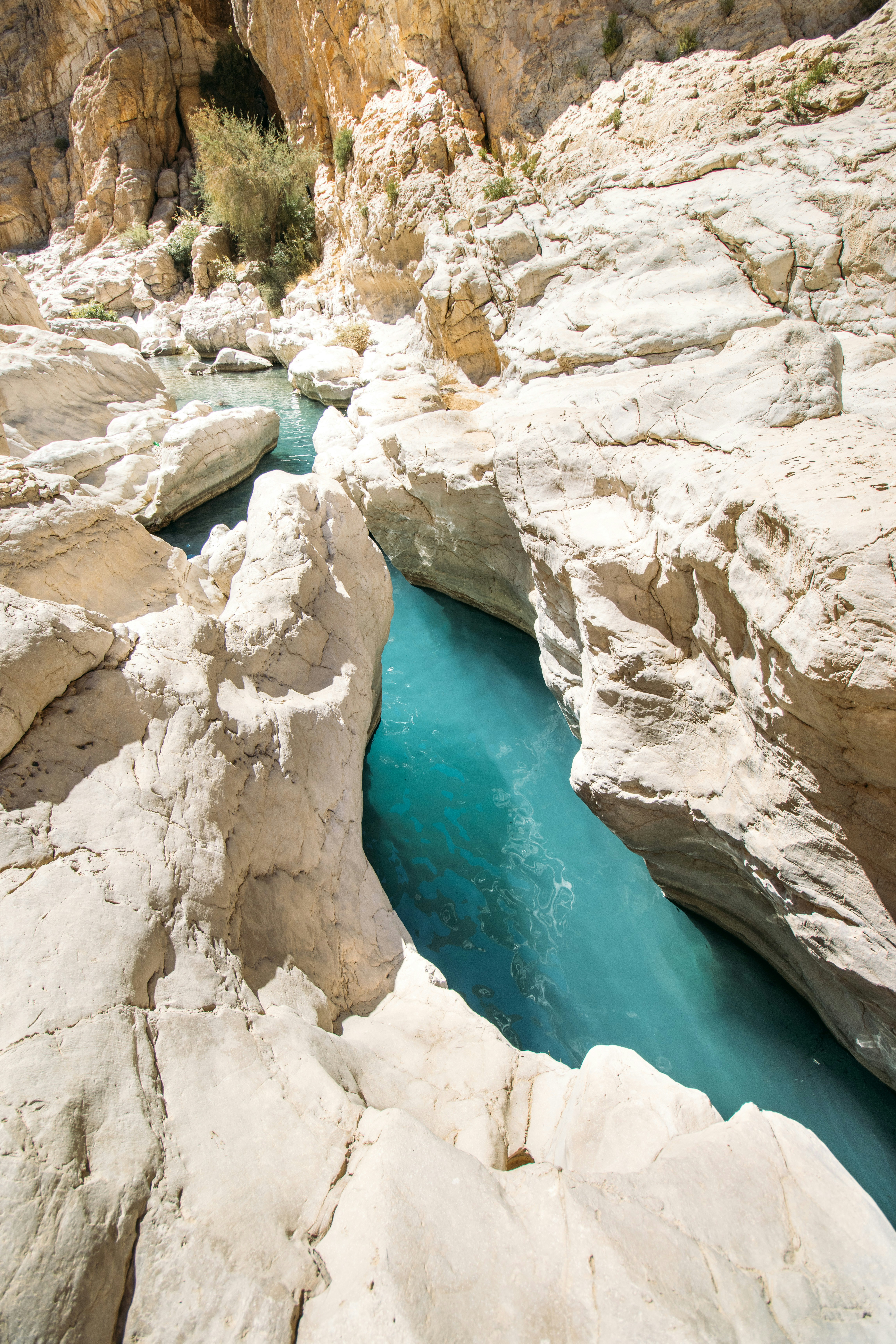Turquoise Rush Through Pale Marble Gorges