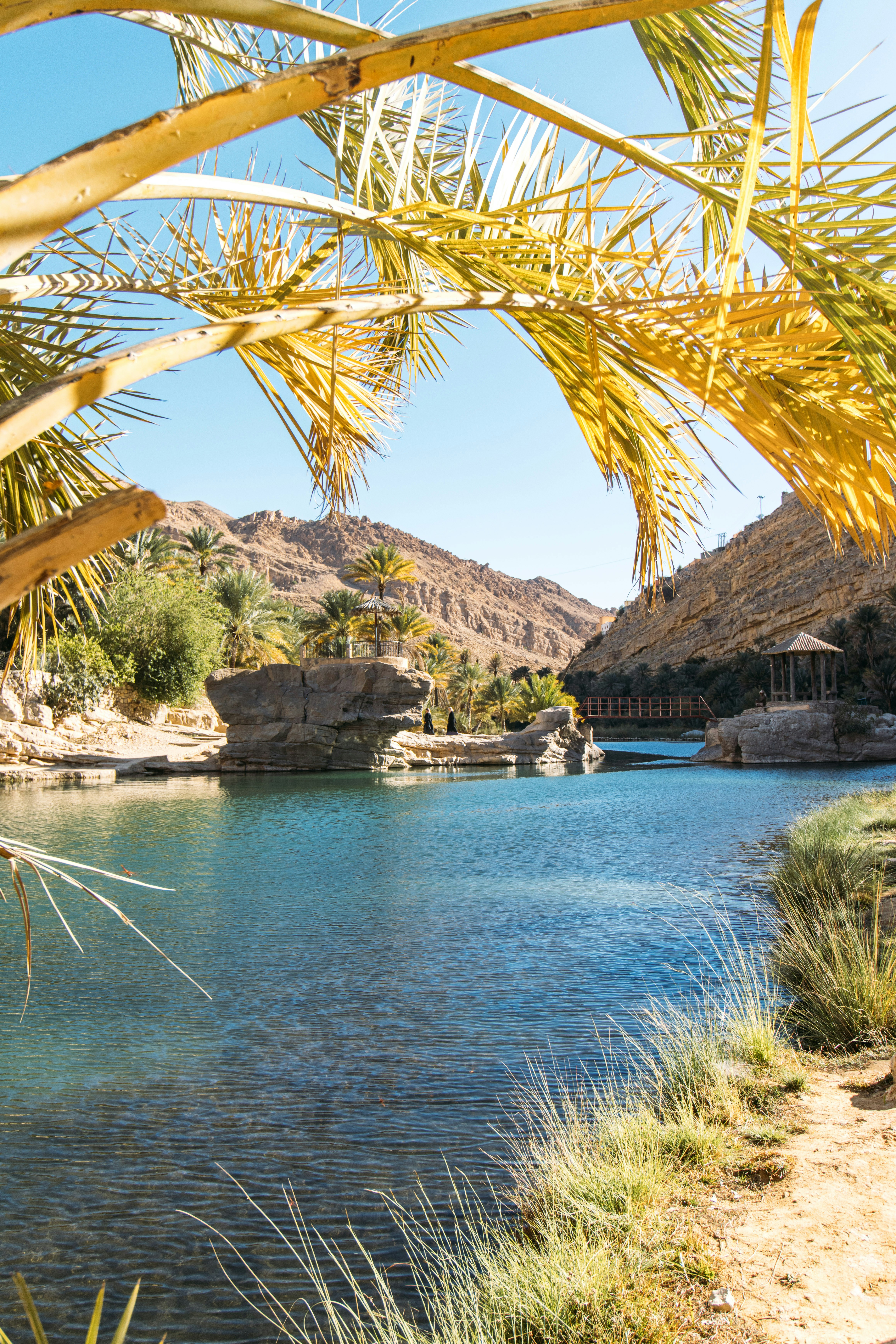 Oasis Between Arid Peaks: A Lagoon Framed by Desert Palms