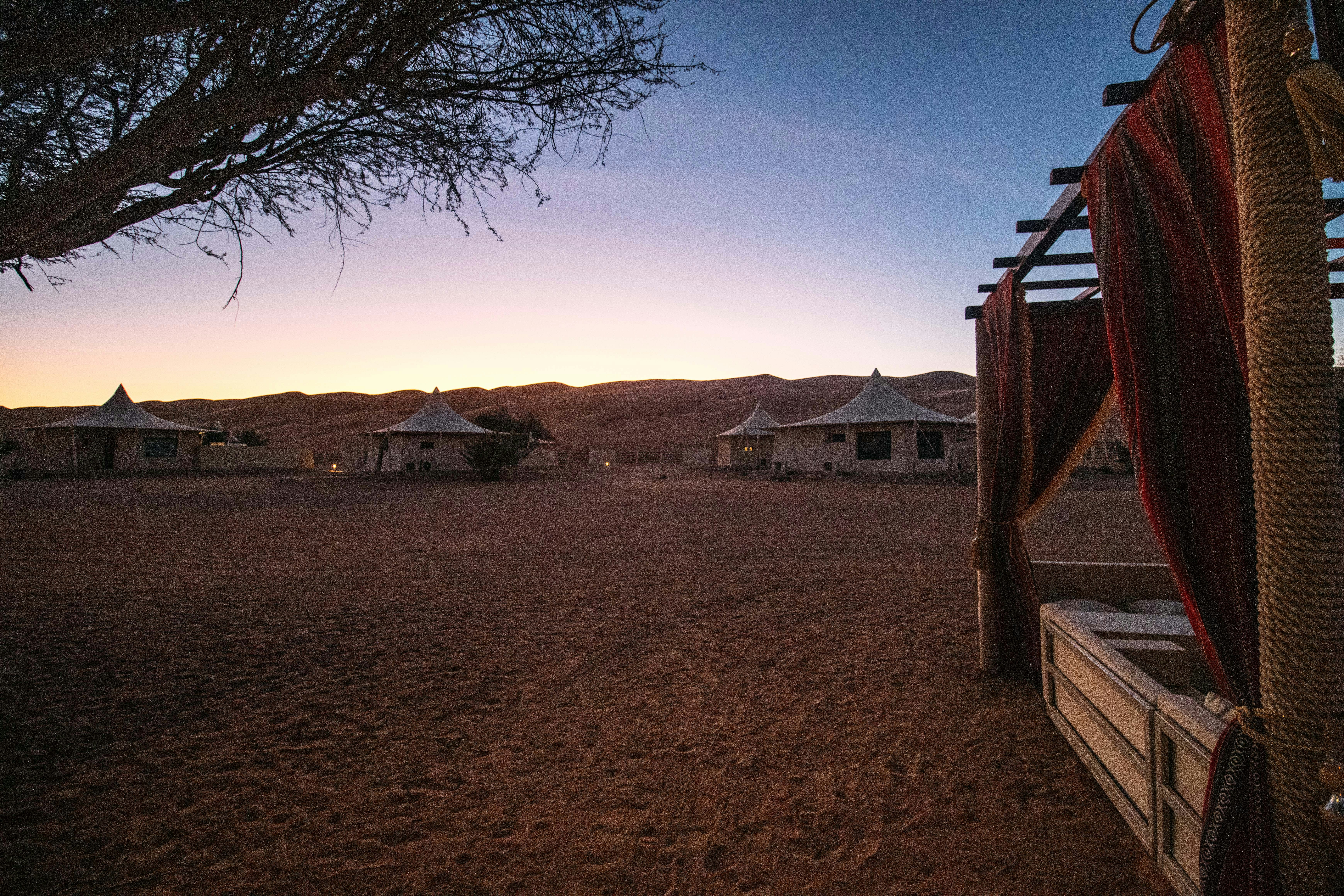Desert Camp at Sunset: Tents Against the Dusk and a Looming Shade of a Tree