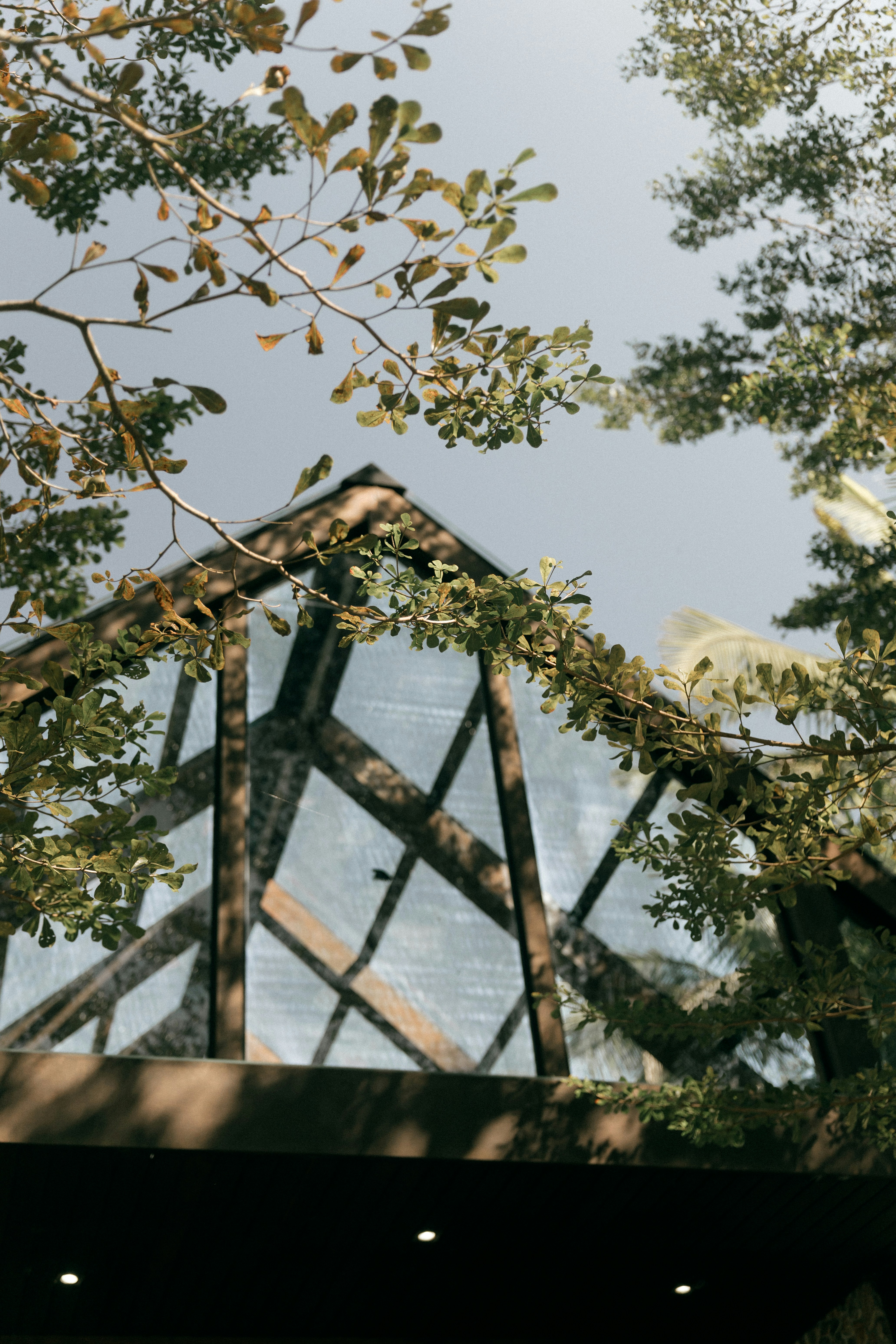 Gabled Glass Through the Green Canopy