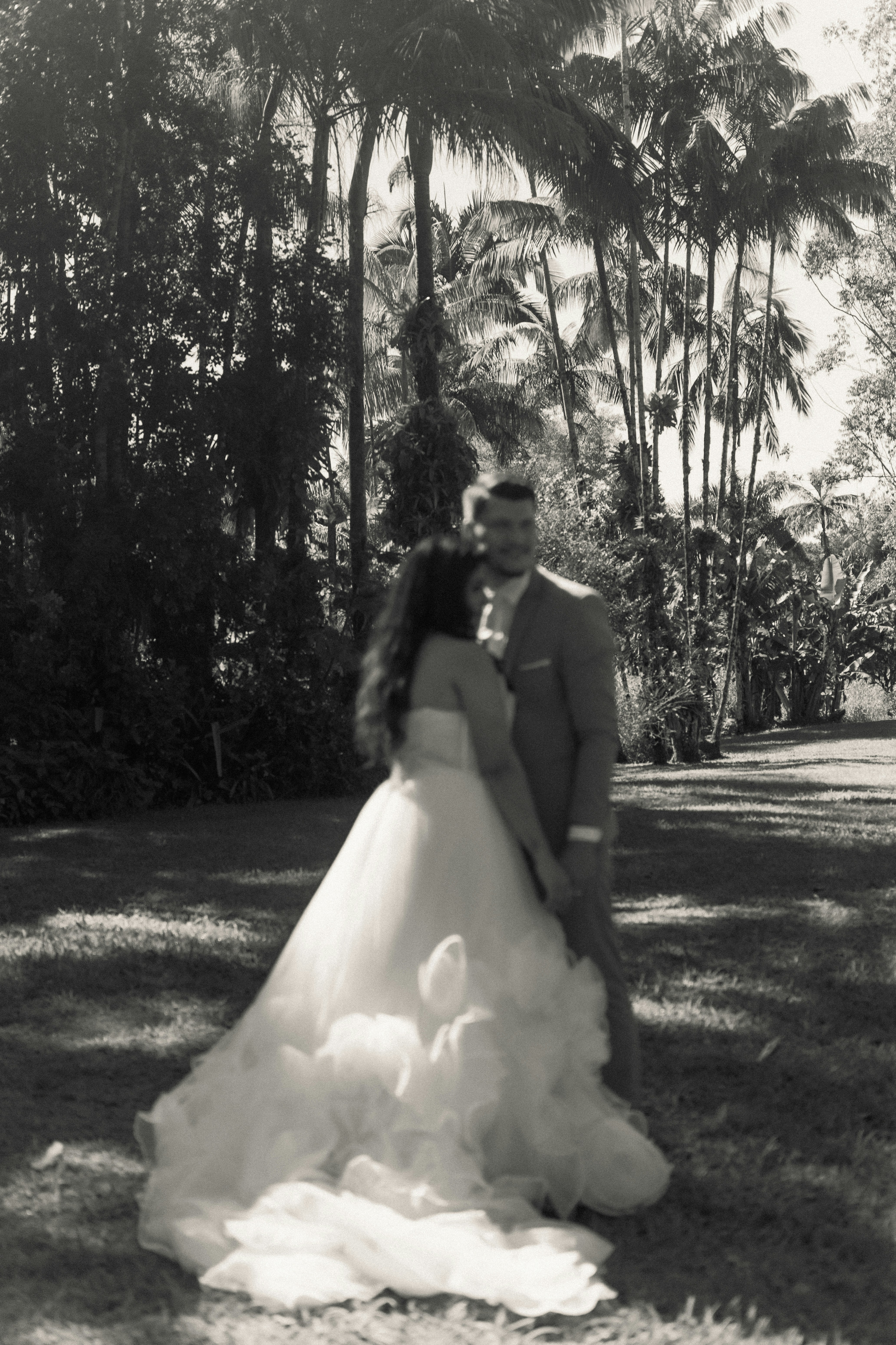 Whispered vows beneath tropical fronds
