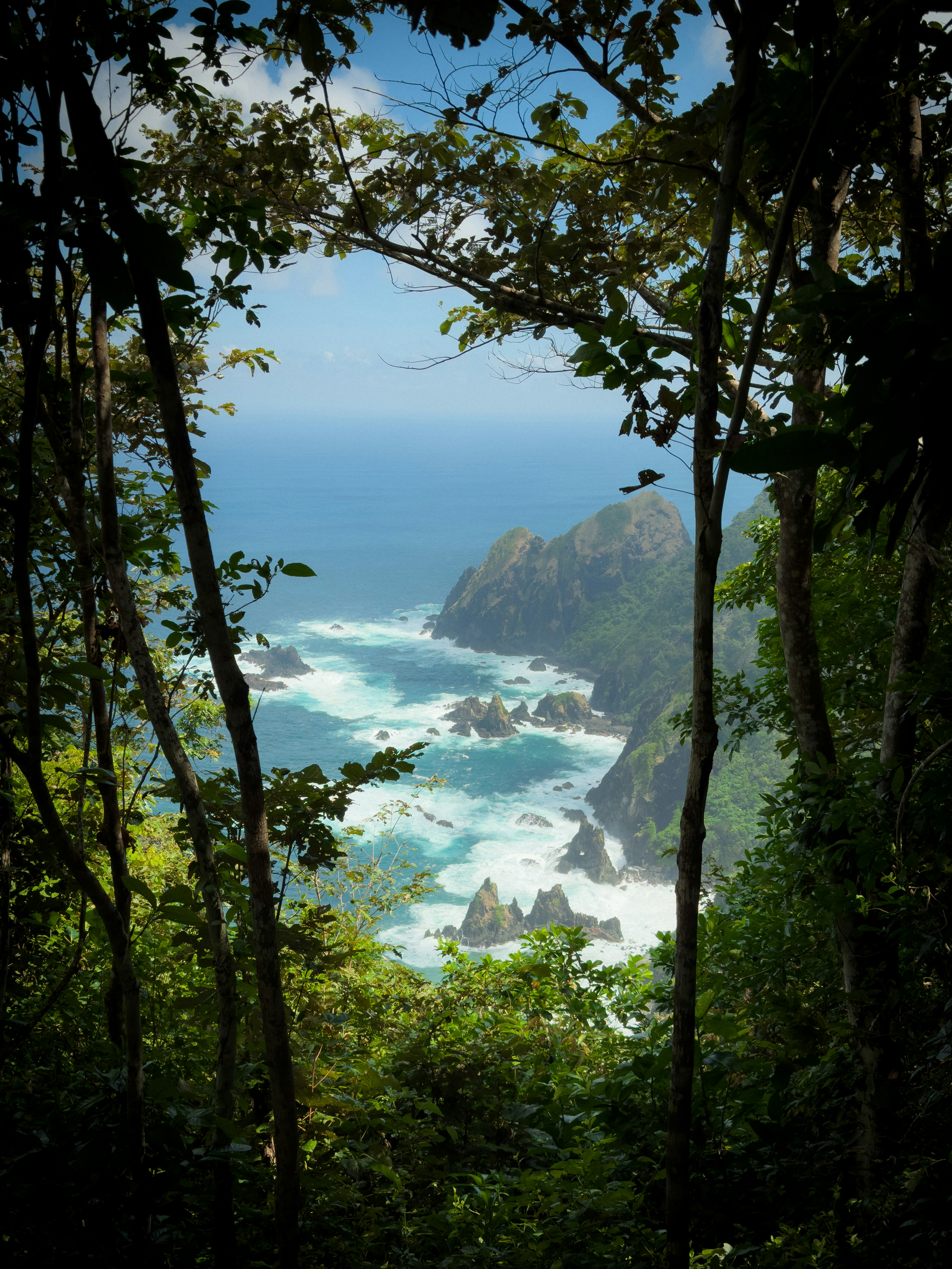 Cliffside coastline seen through a lush, shaded forest, revealing turquoise waves crashing against rocks below. This image captures a natural overlook with a distant horizon, emphasizing depth and contrast between light and shadow. Logo/branding not present.