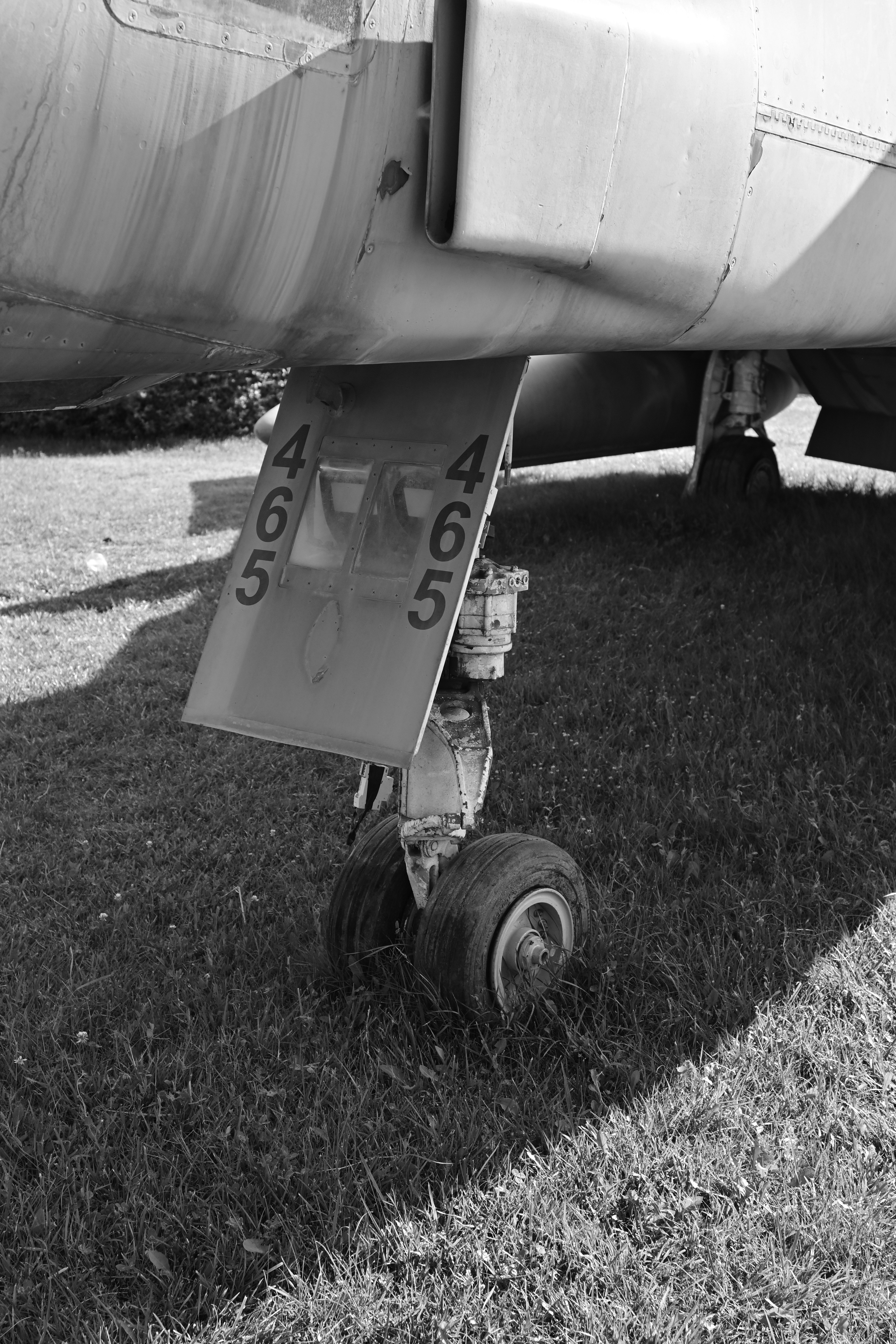 Grounded Landing: Aircraft Nose Gear in Grassy Quiet
