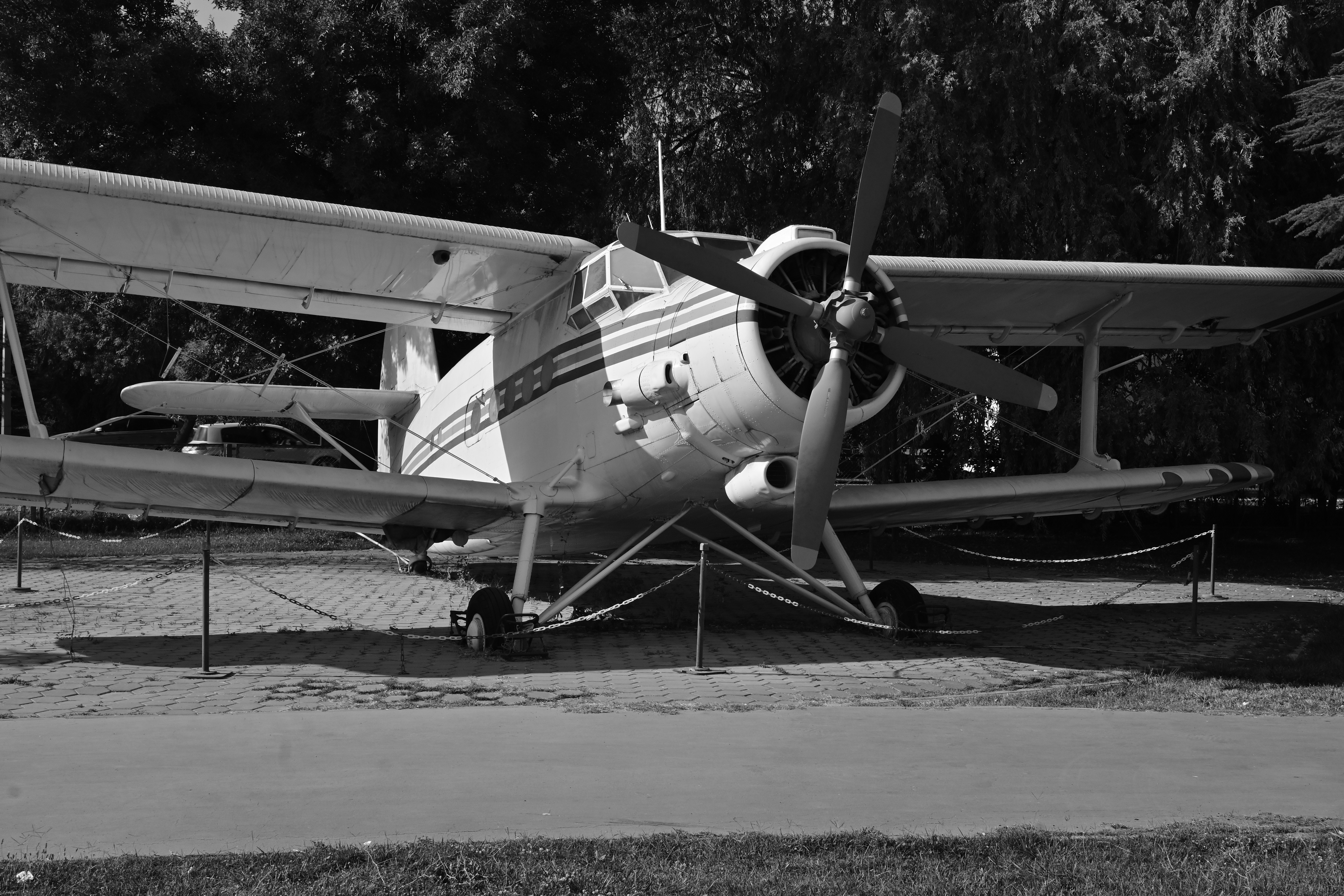 Classic propeller airplane on a paved display area, captured in monochrome with surrounding ropes and signage. The scene emphasizes the aircraft’s nose and propeller against a shadowed backdrop.