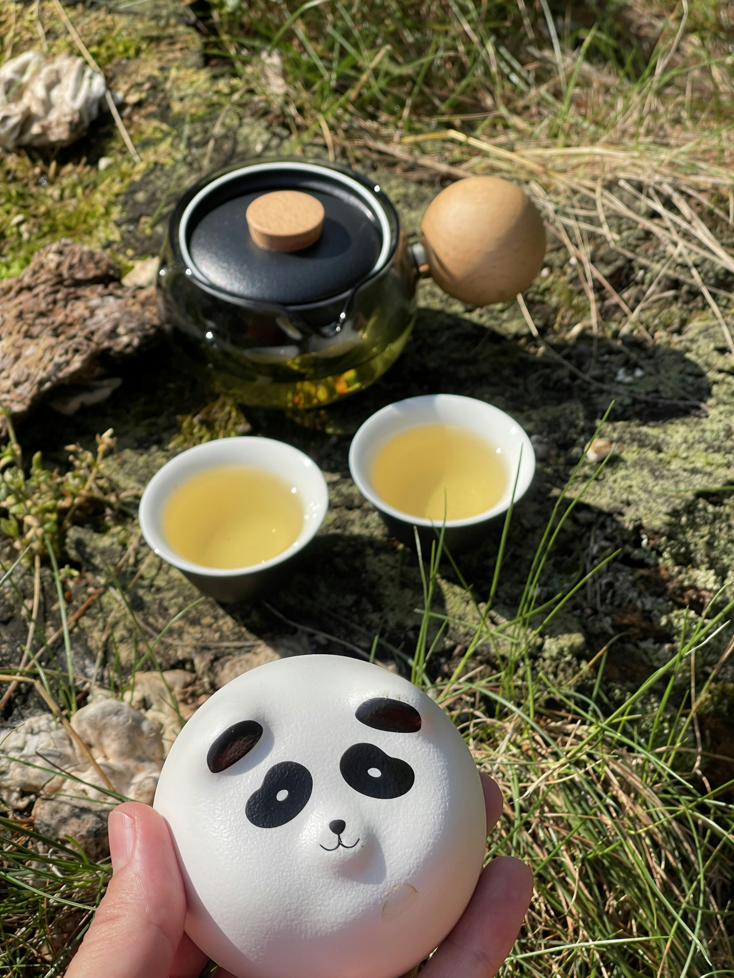 Panda-Scaled Tea Break in a Mossy Clearing