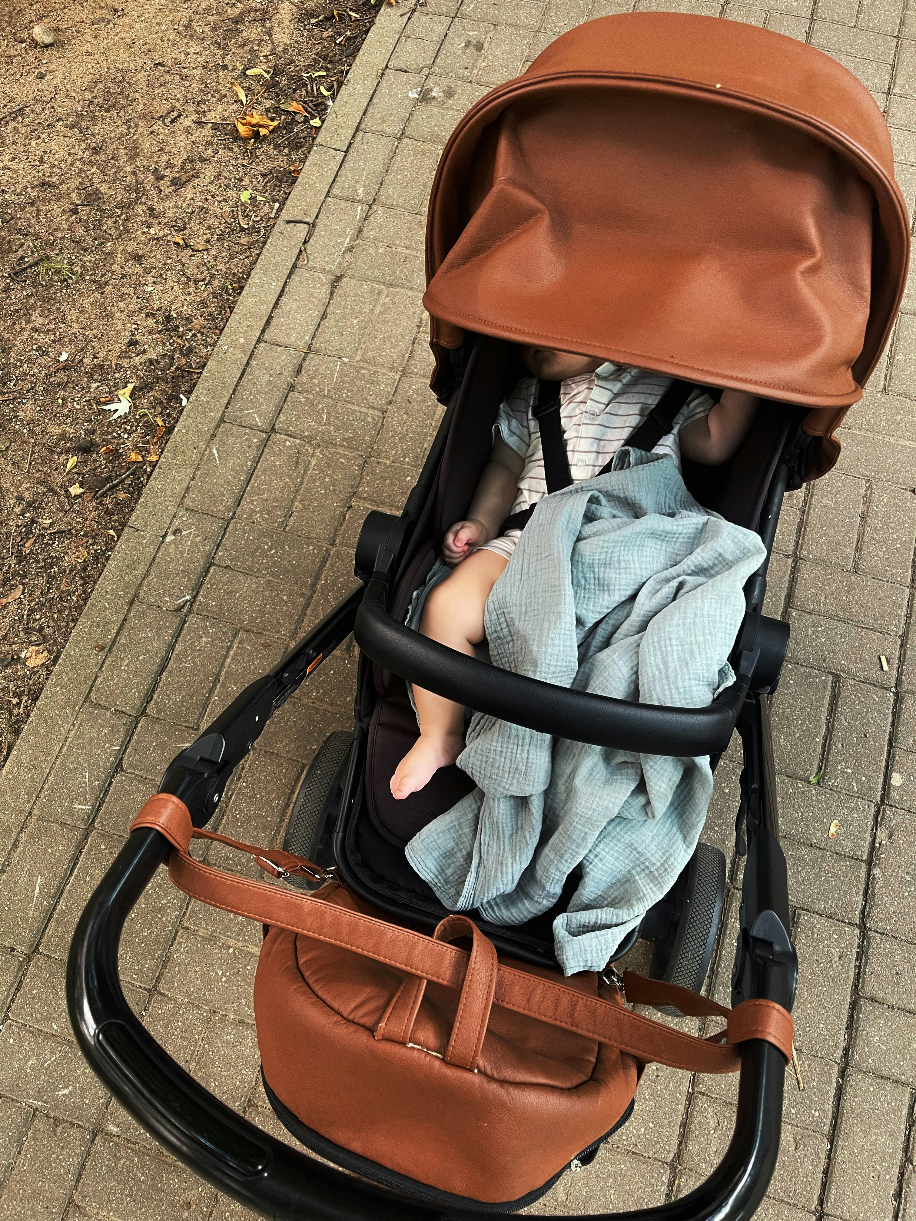 Sunlit Park Stroller: Quiet Moment Under a Leather-Brown Canopy