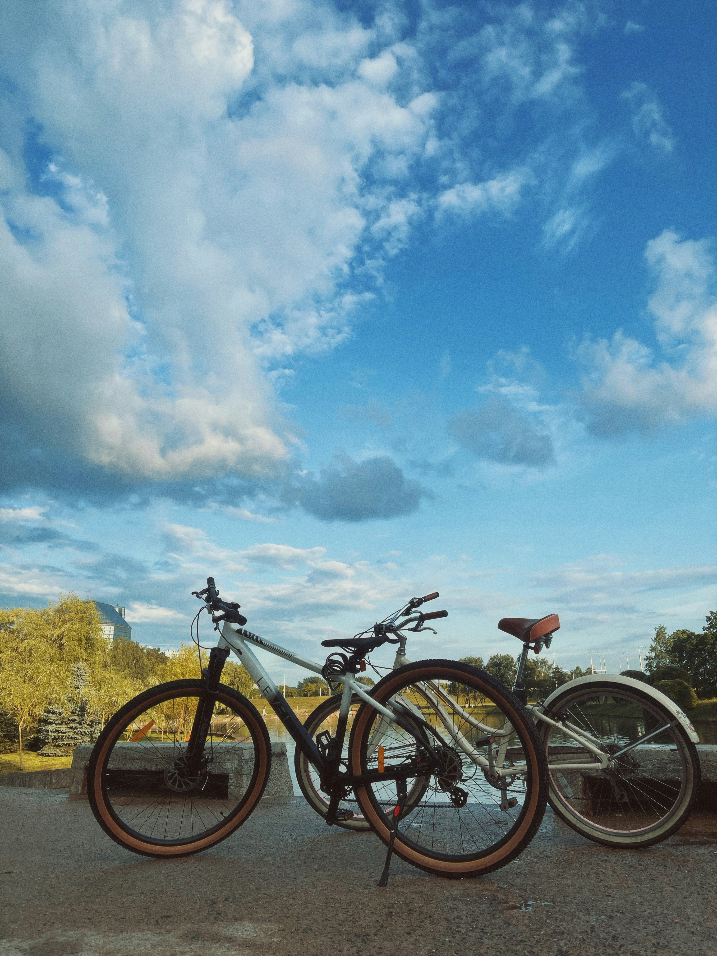 Two bicycles anchored at dusk: a quiet moment by the park lake