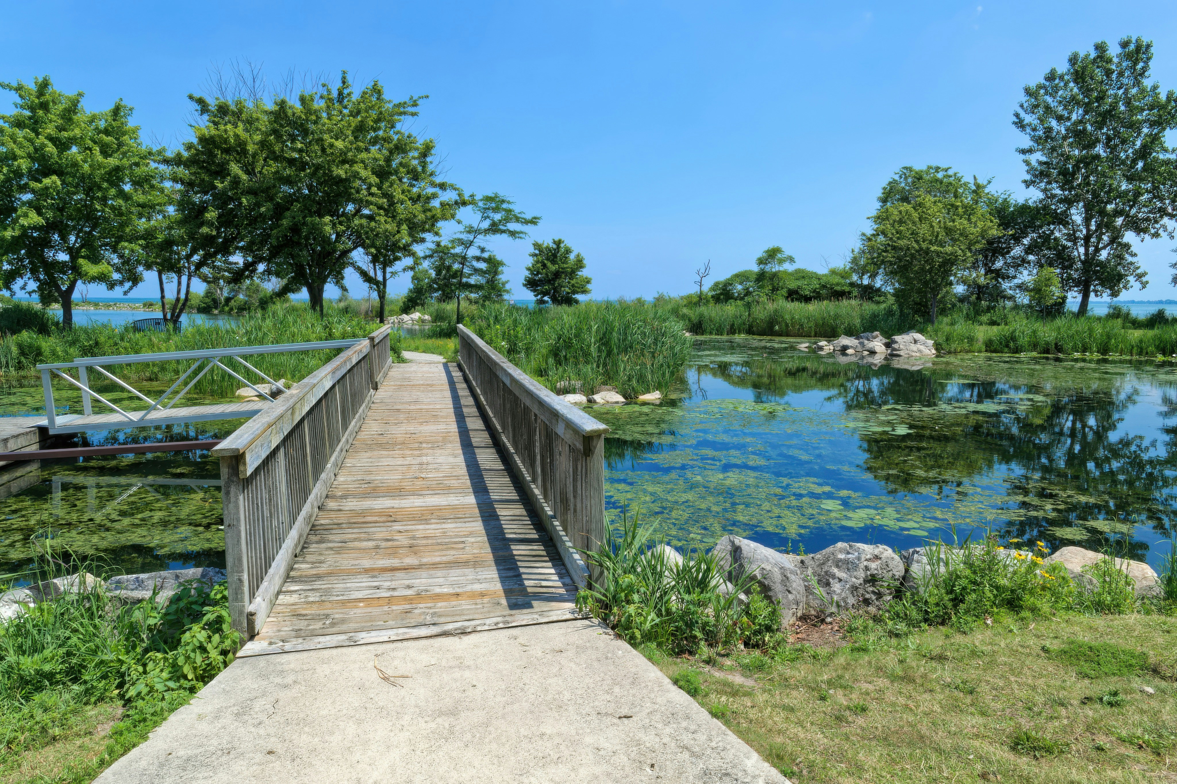 Bridge to the Glade: a sunlit lakeside walk