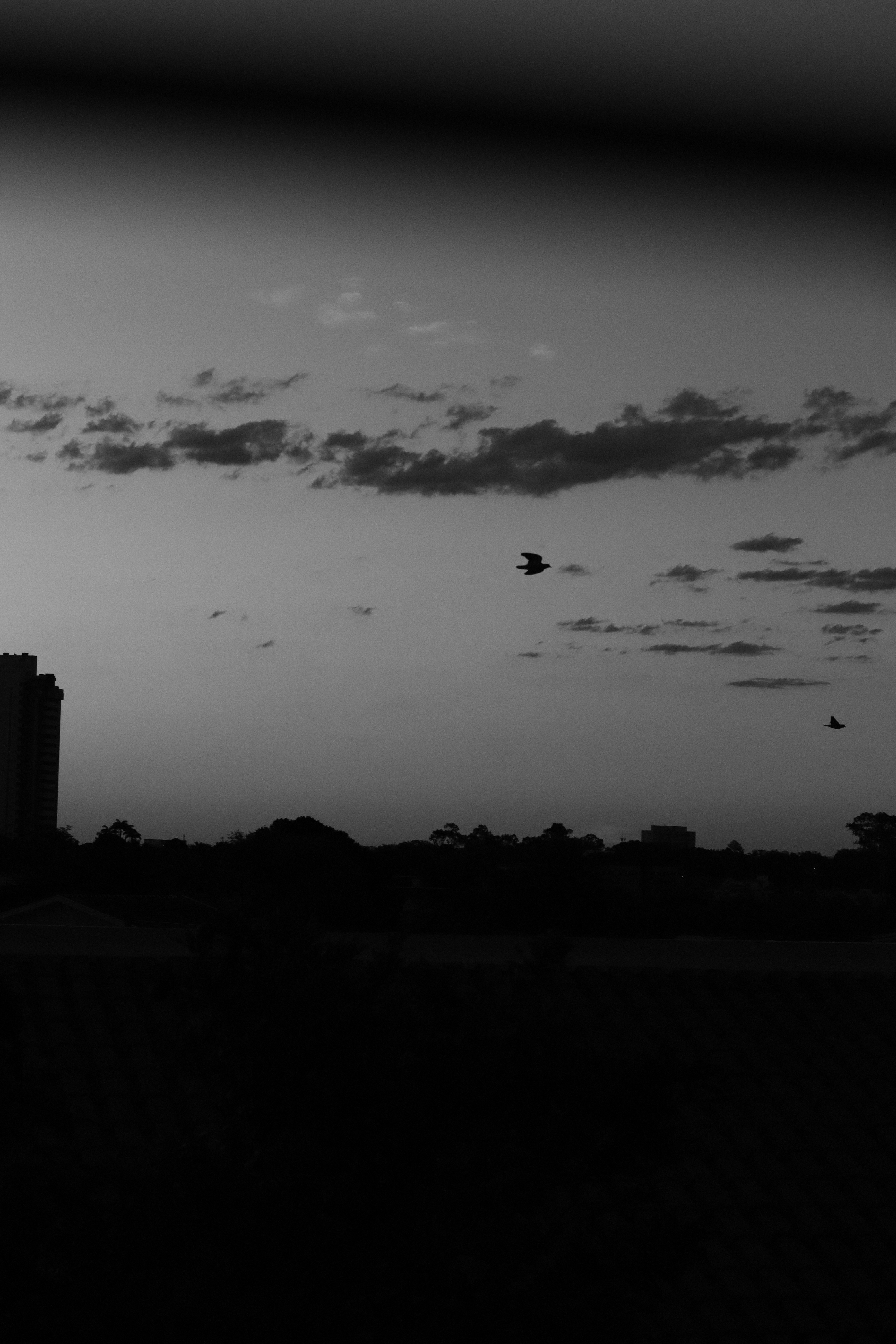 Evening Flight over the City Silhouette