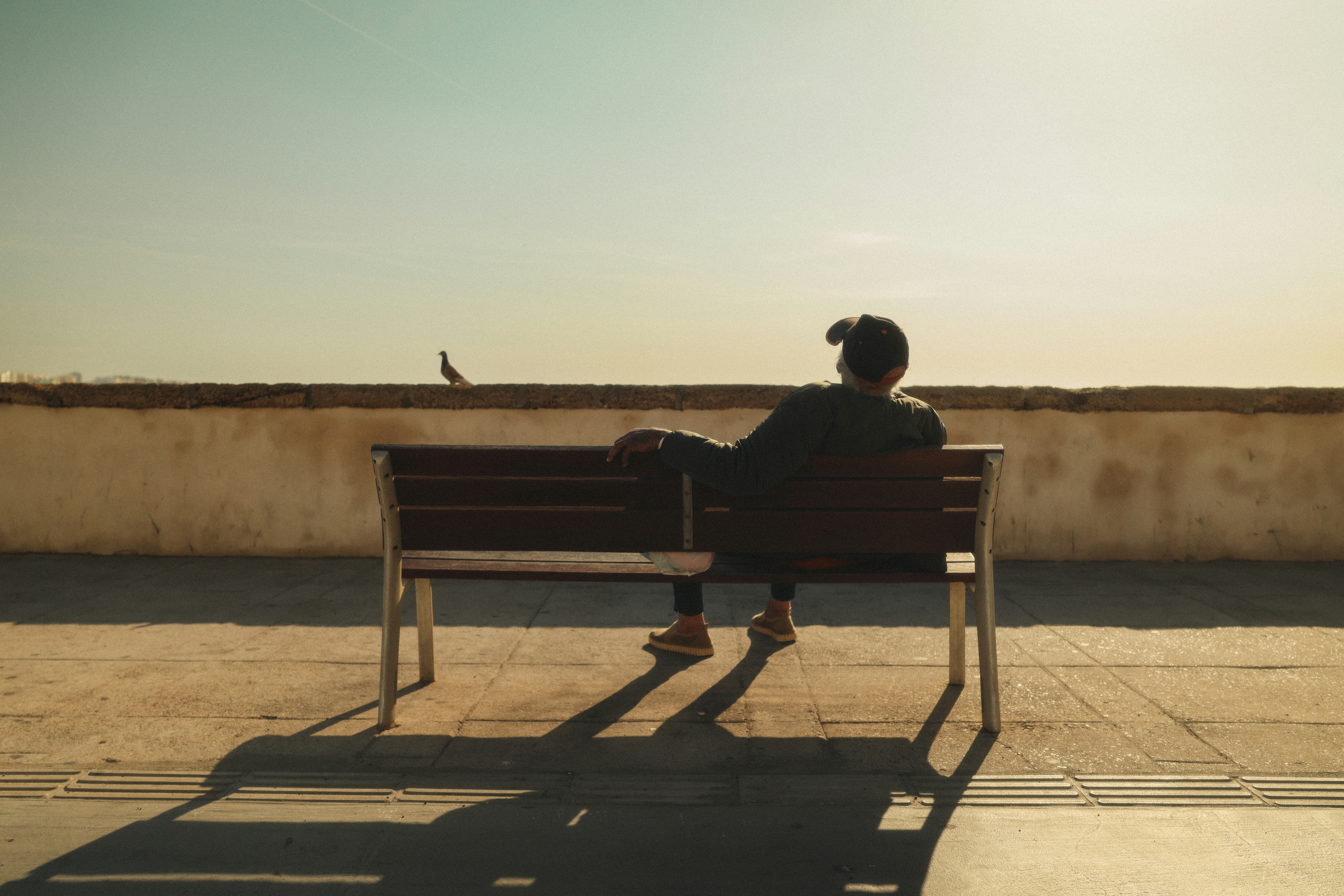 Solitary Confidant on a Sunset Bench