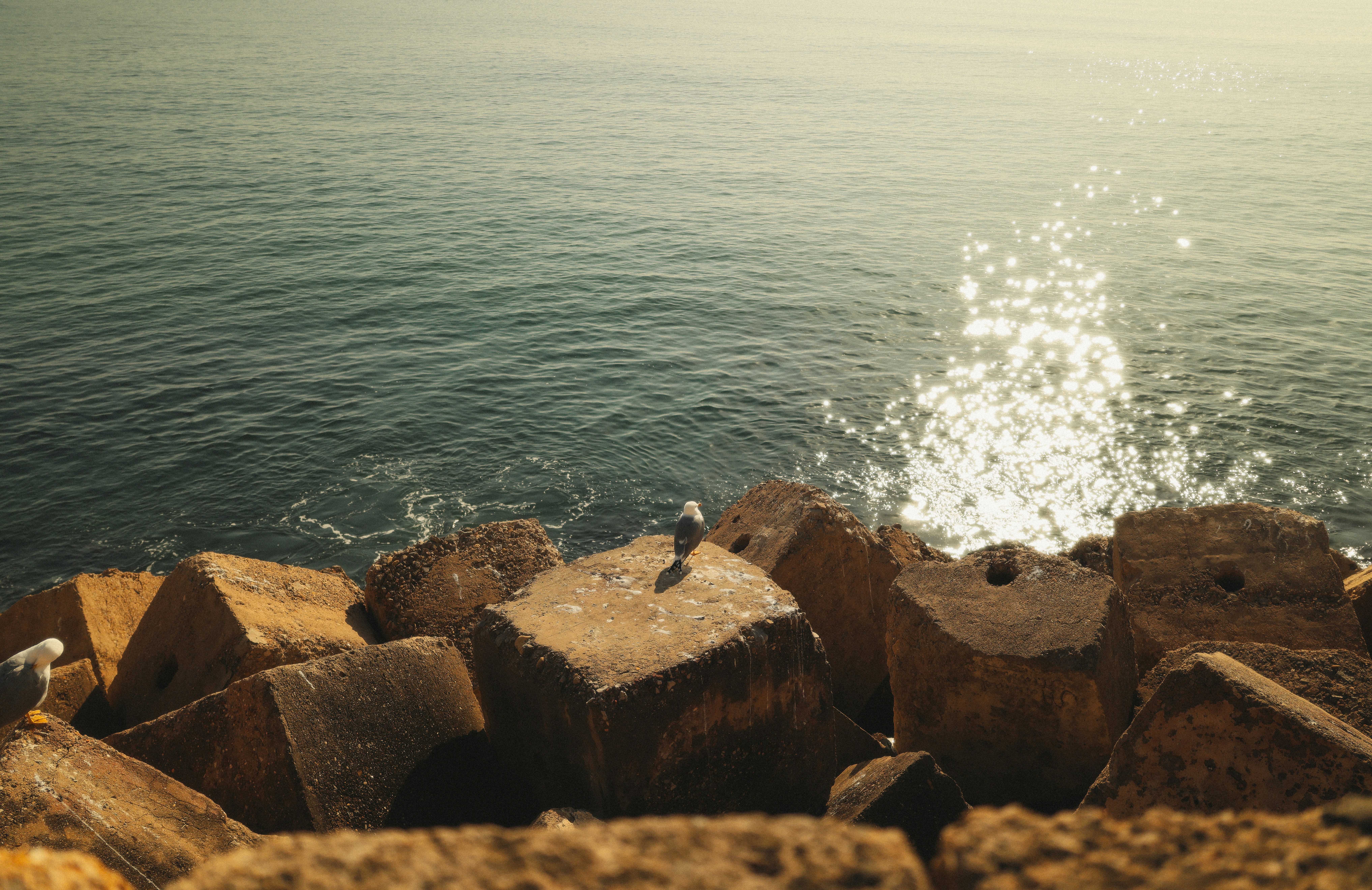 Glint on the Breakwater: Sunlit Rocks and Quiet Sea