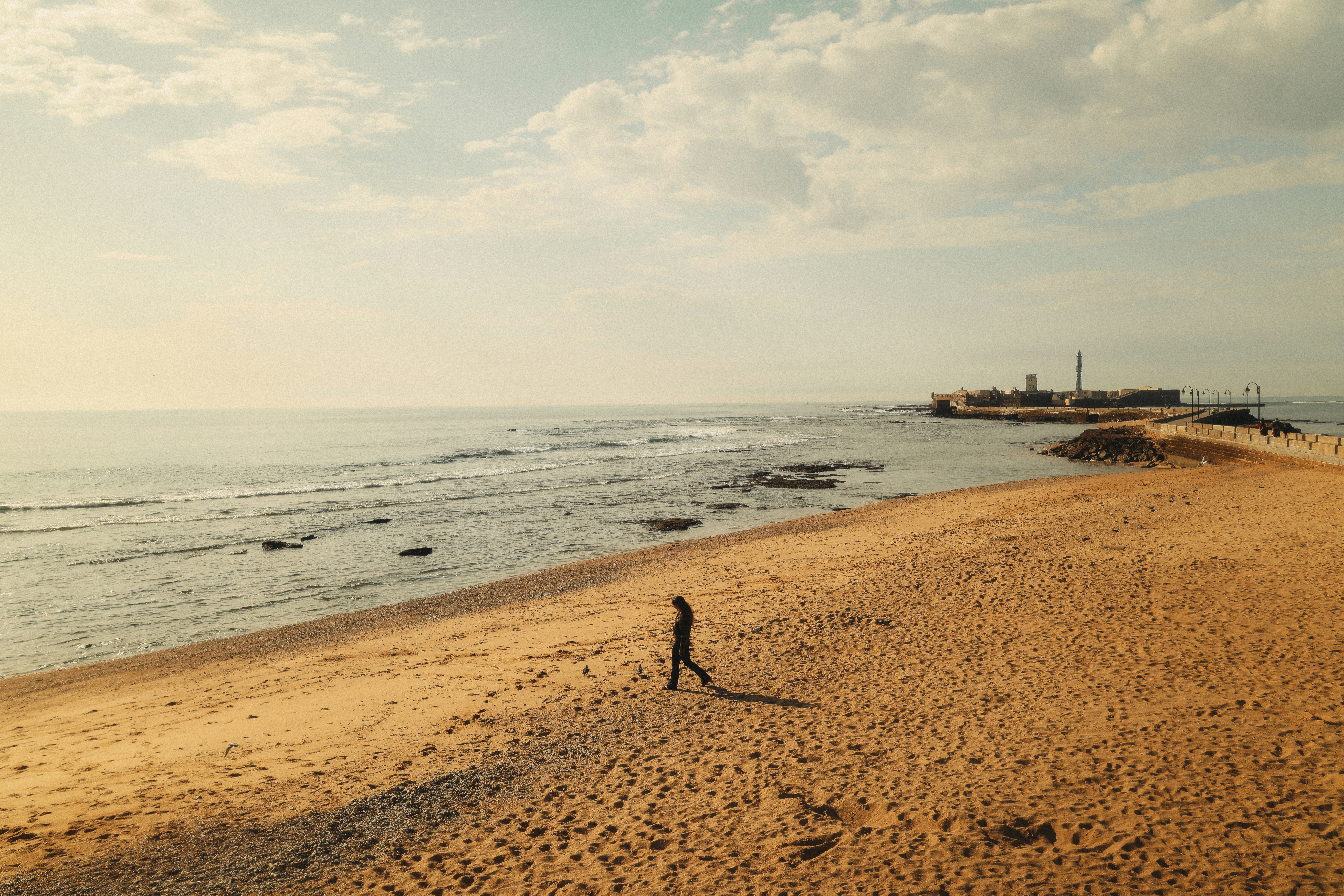 Solitary Stroll on a Golden Shore