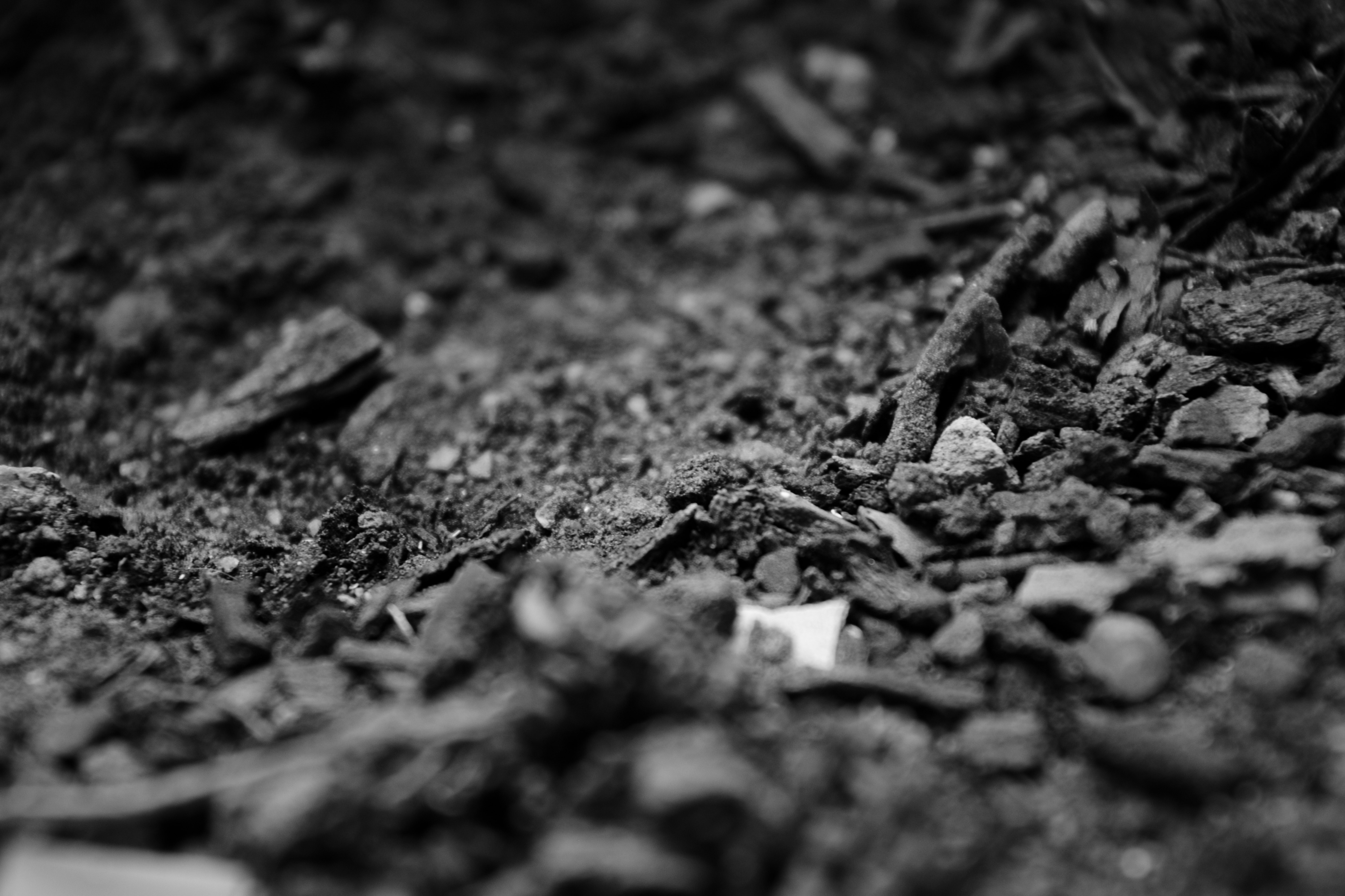 Grounded Fragments: A Close-Up of Dust and Debris in Quiet Focus