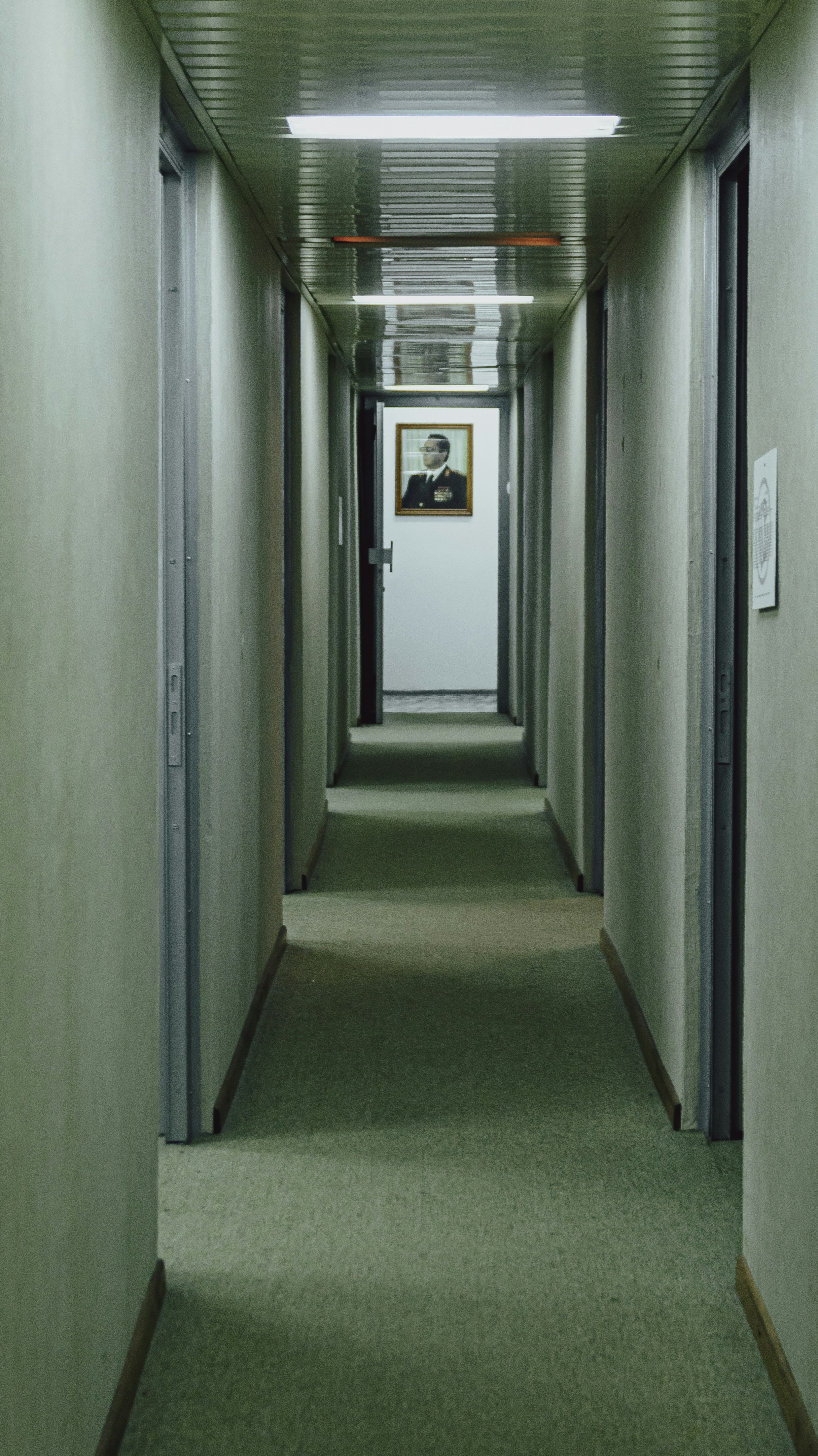 Portrait in a Hall of Echoes