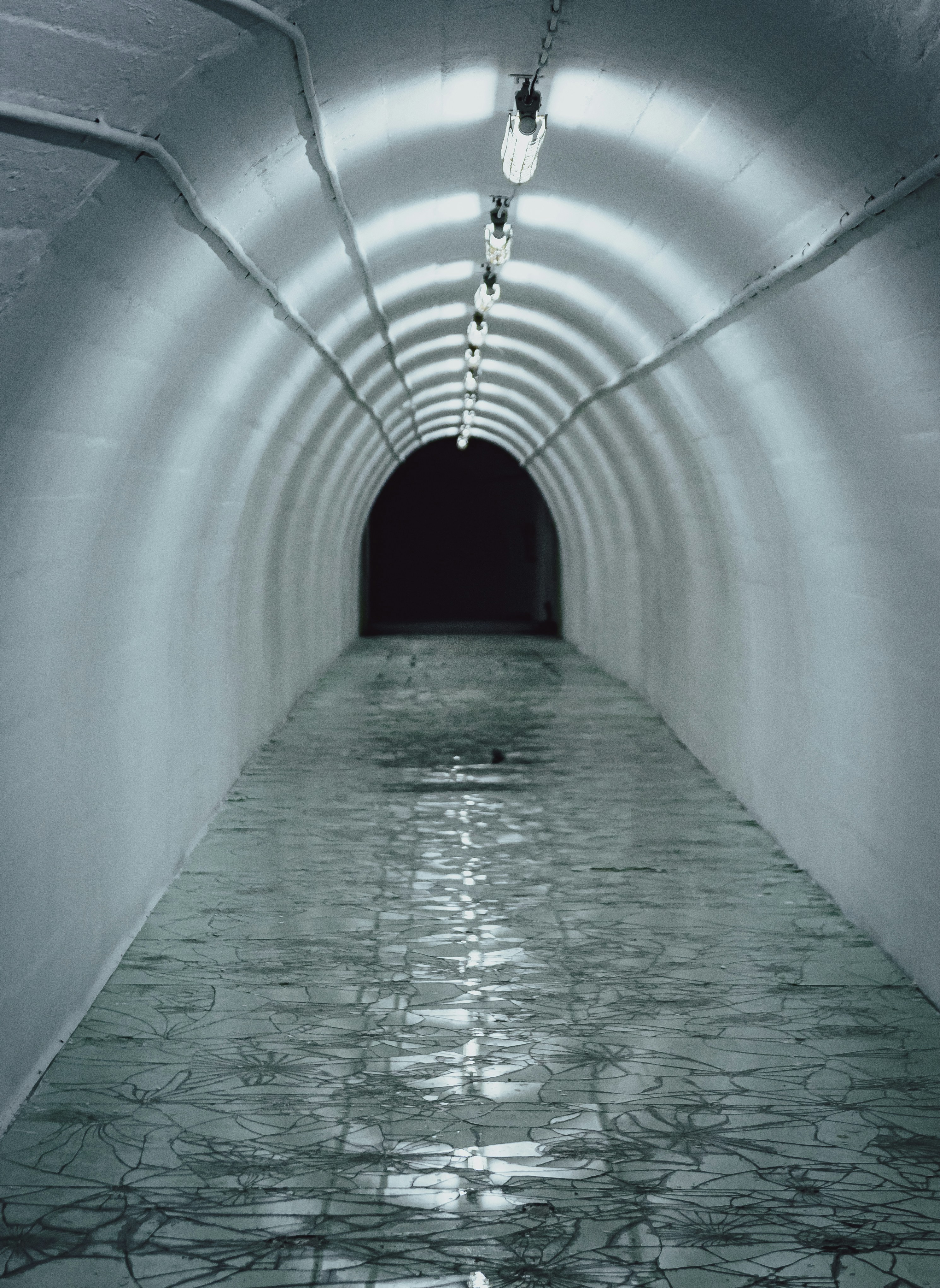 Tunnel of Echoes: A Neon-lit Walk Through an Immersive Corridor