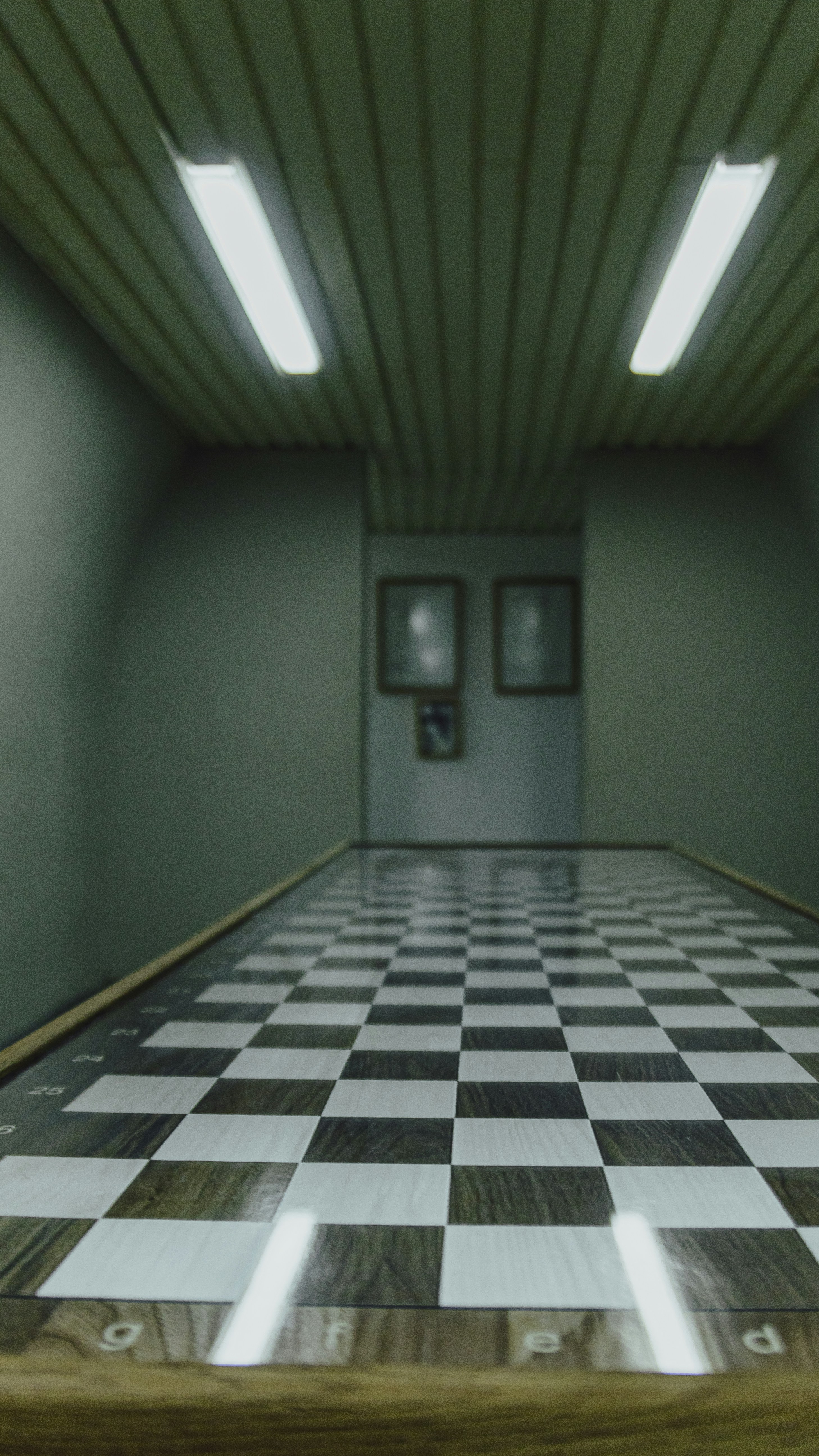 Echoes of the Checkerboard Corridor