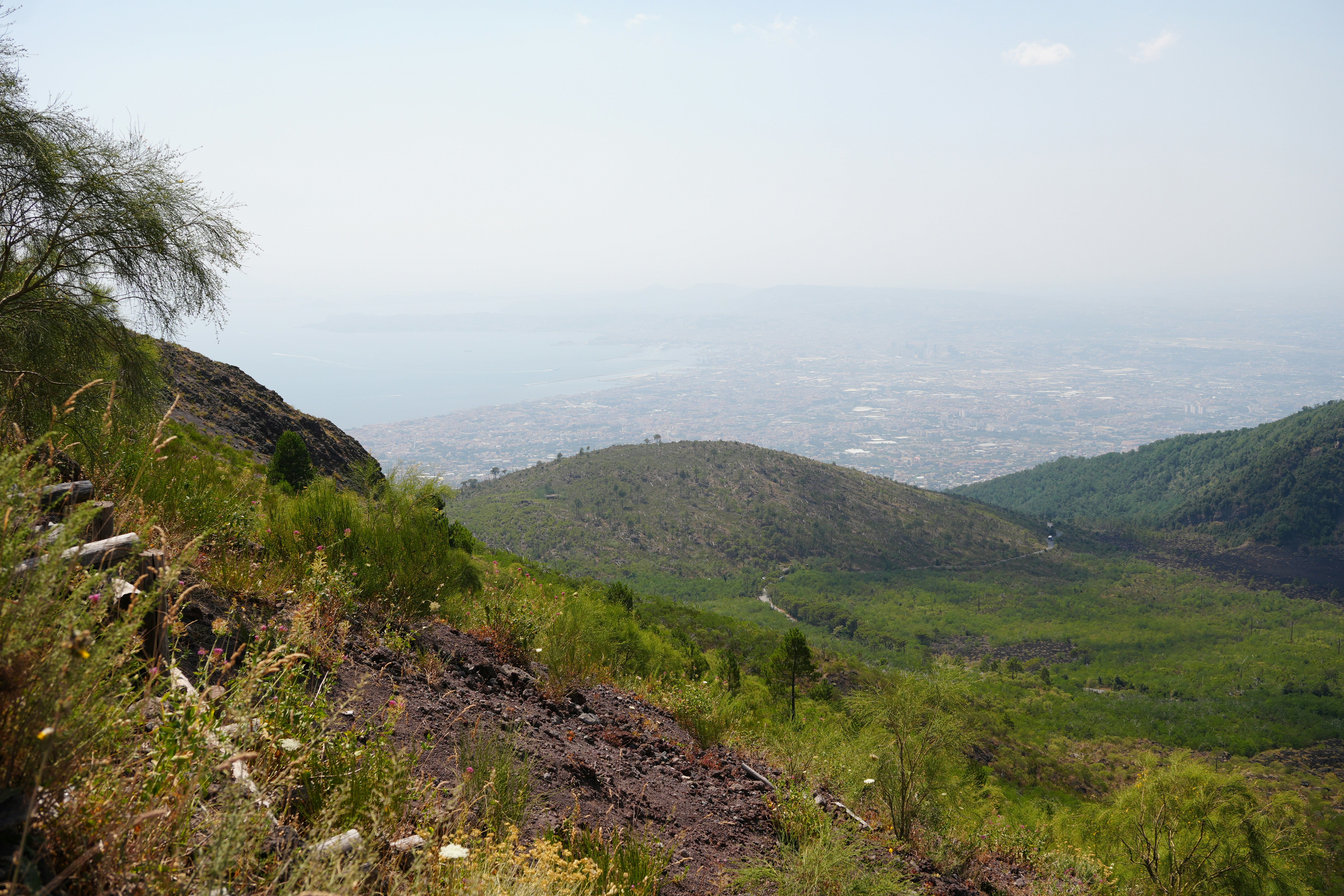 Horizon over Green Valleys from Rocky Prospect