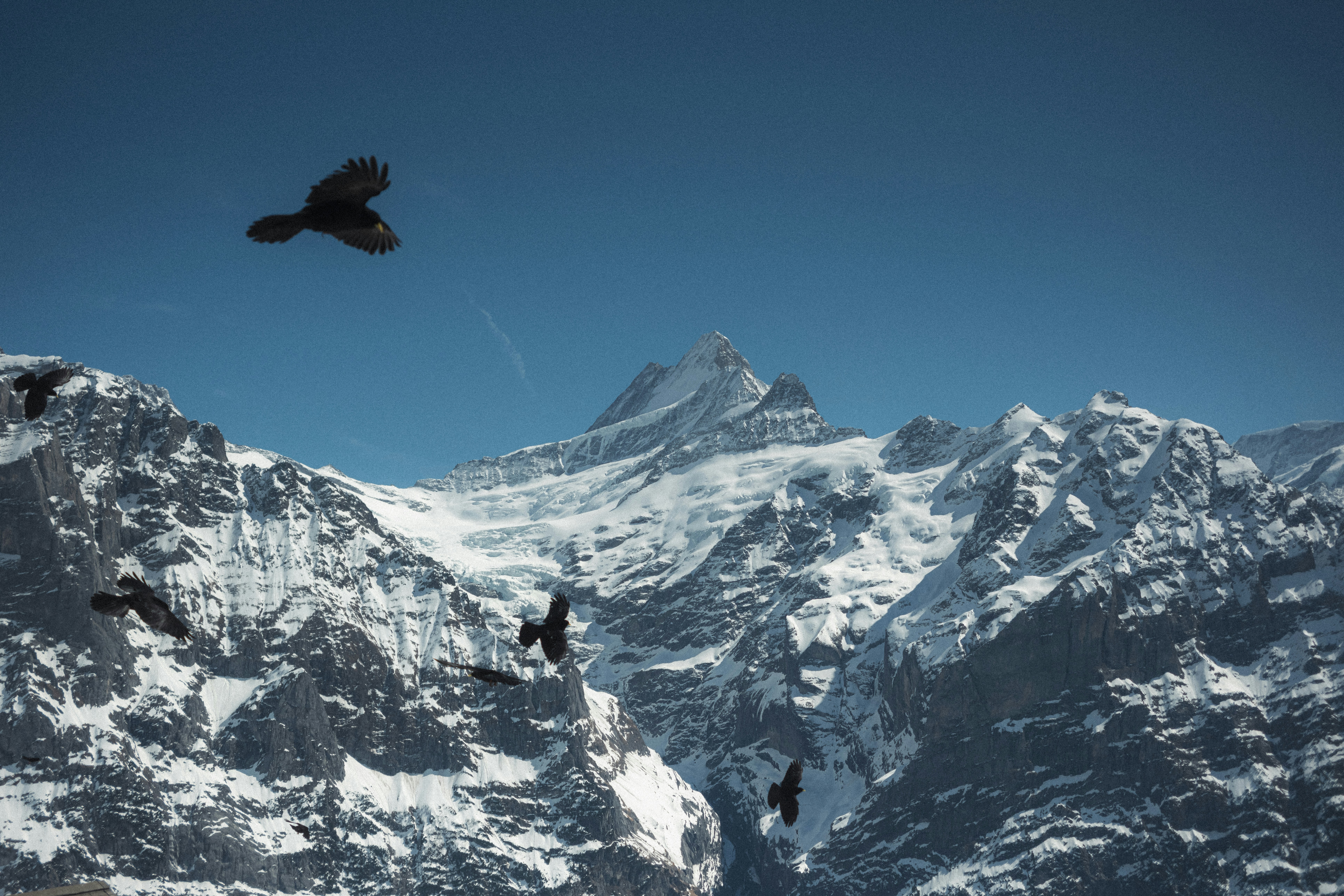 Ridgeflight over Glacier Peaks
