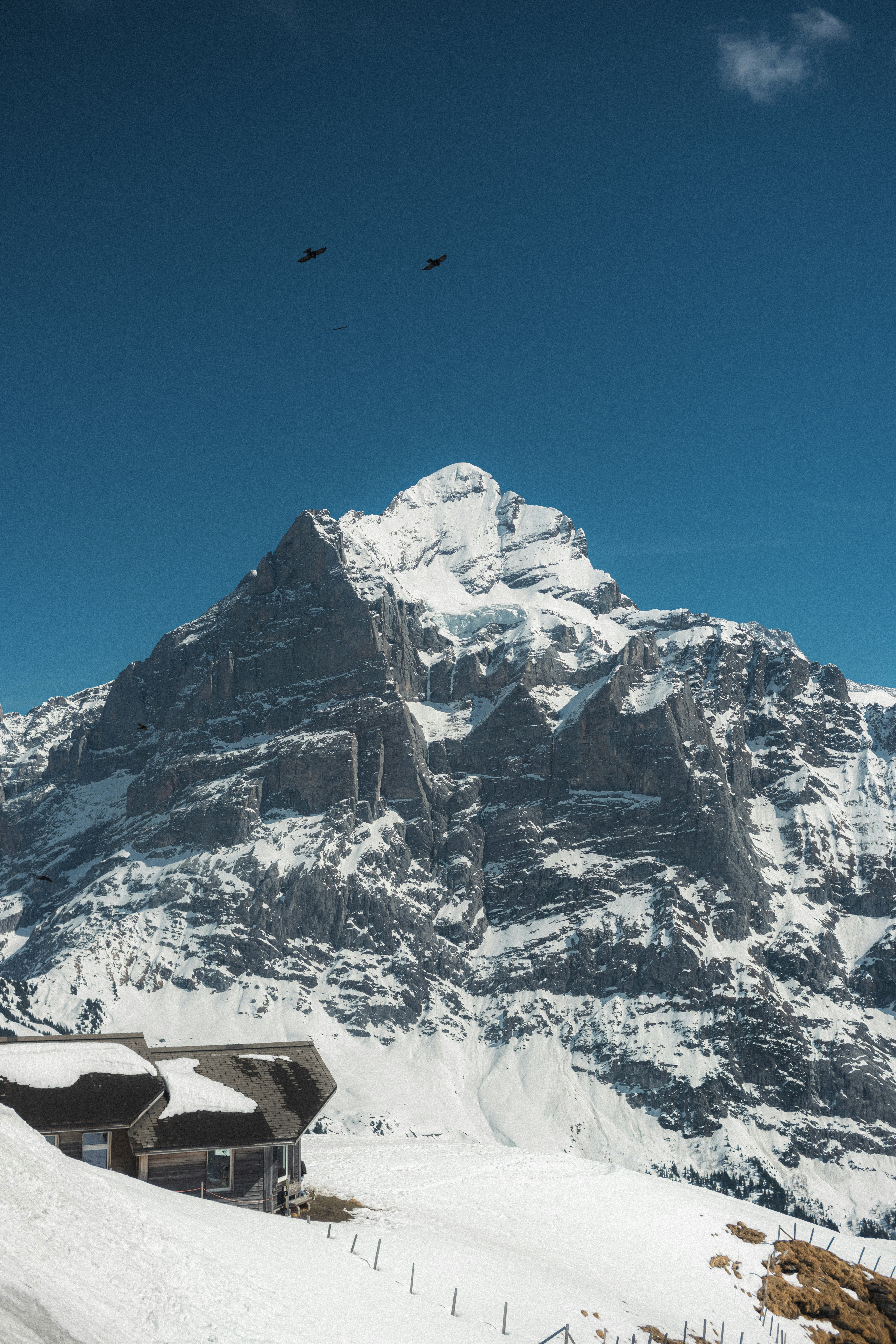 Snowbound Peak Under a Clear Blue Sky