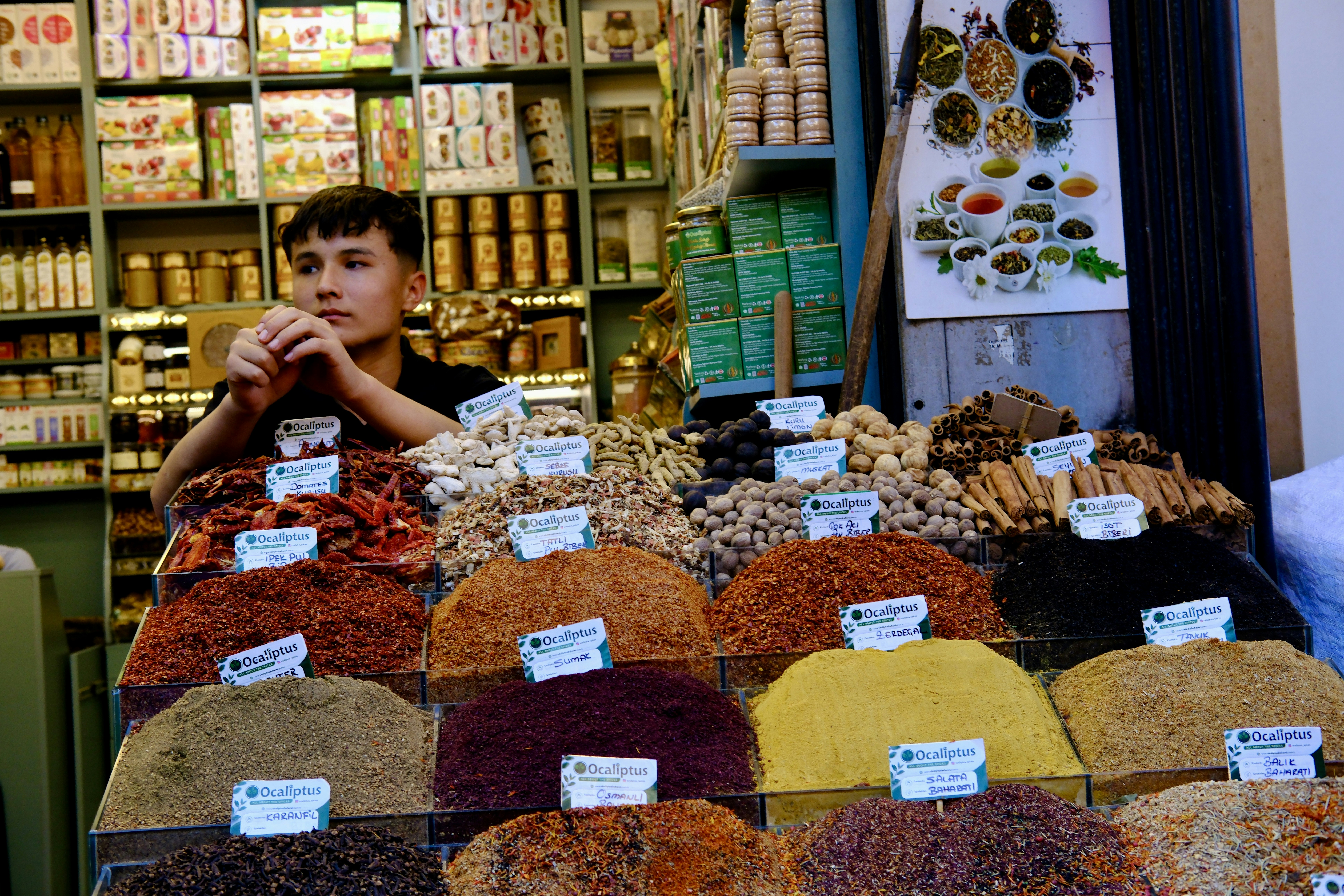 Market Spice: A Curious Boy Among Colorful Spices