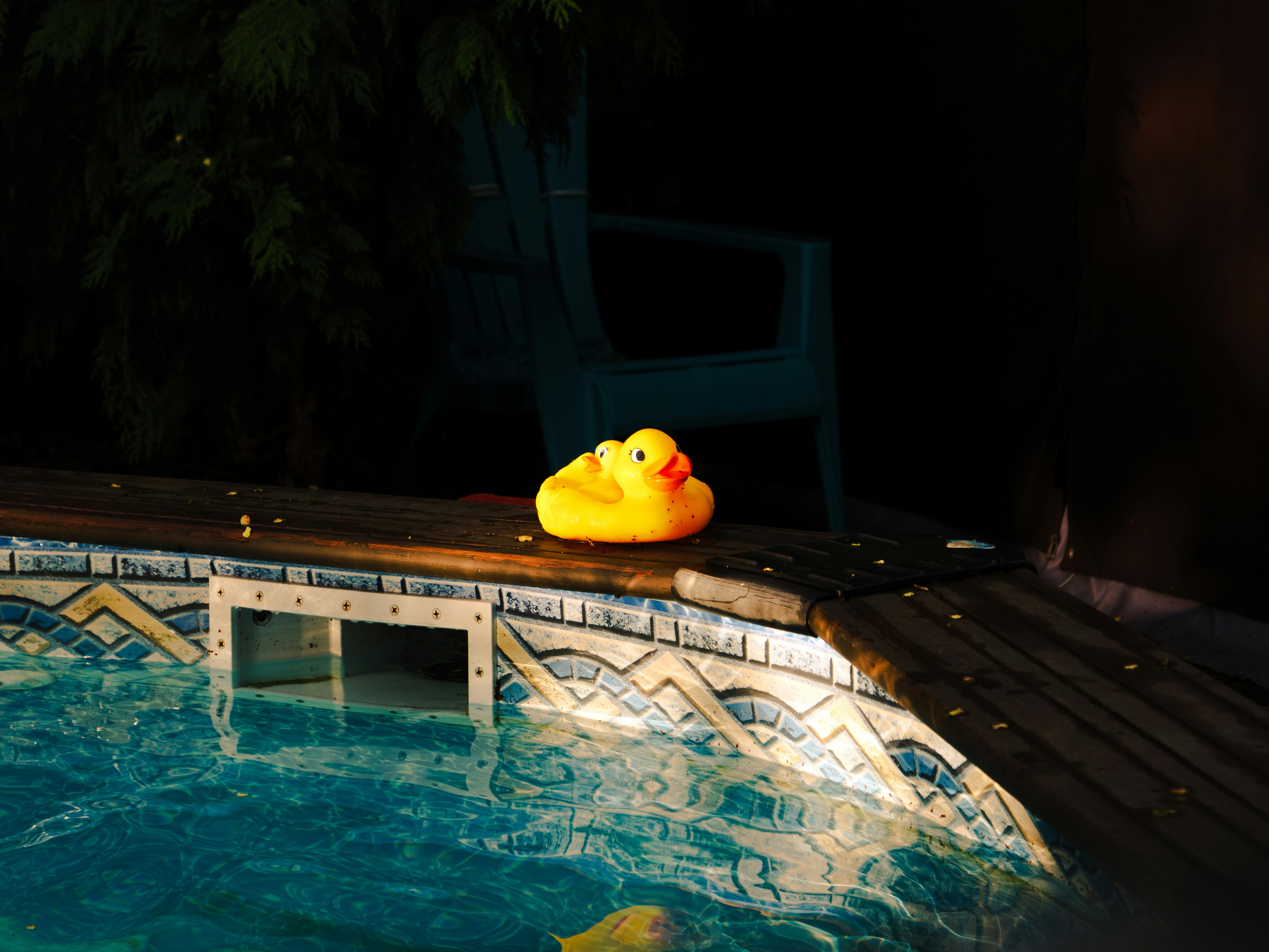 Rubber Duck at the Poolside Night