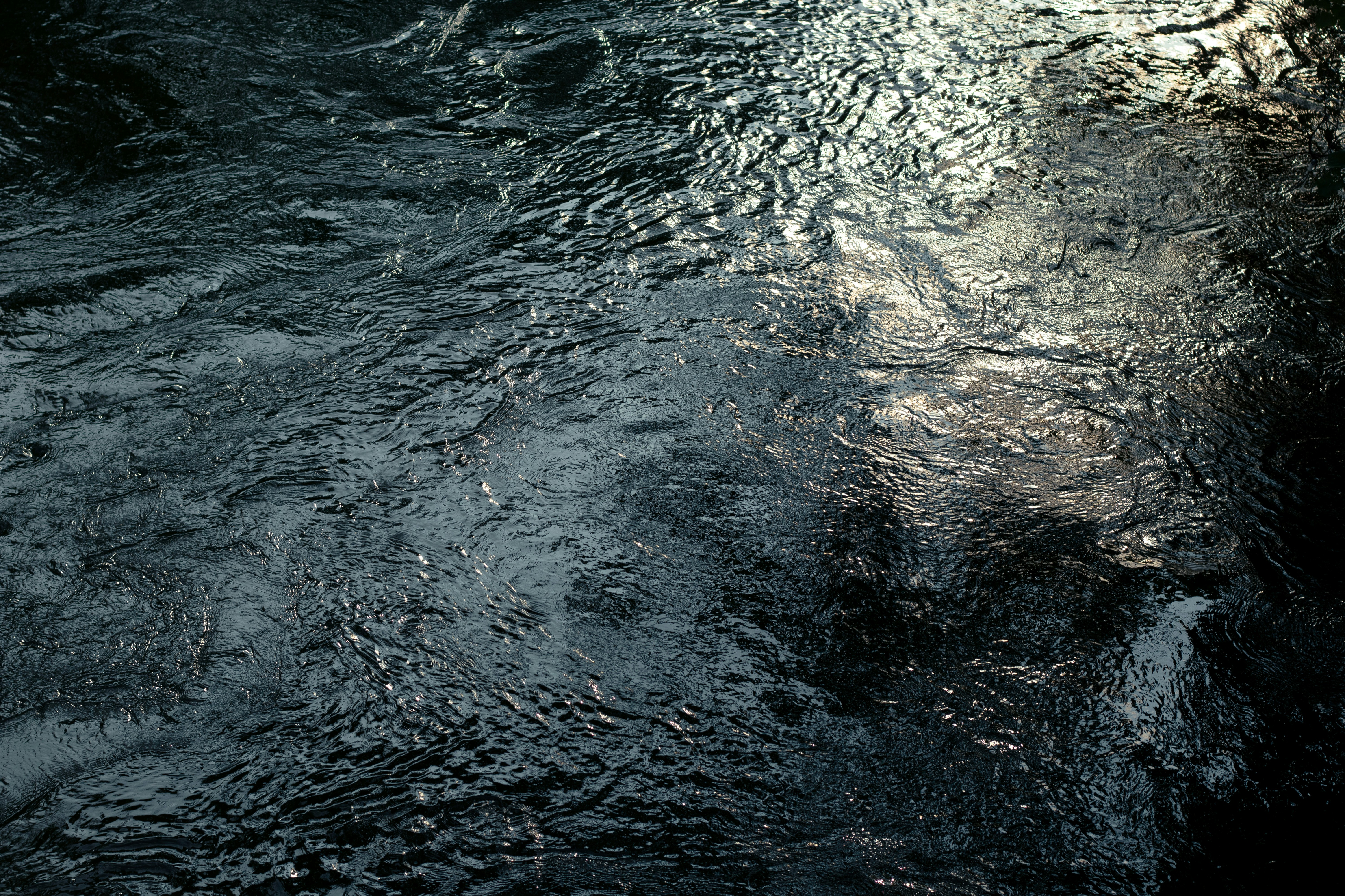 Moonlit Ripples: A Quiet Tidescape on Dark Water