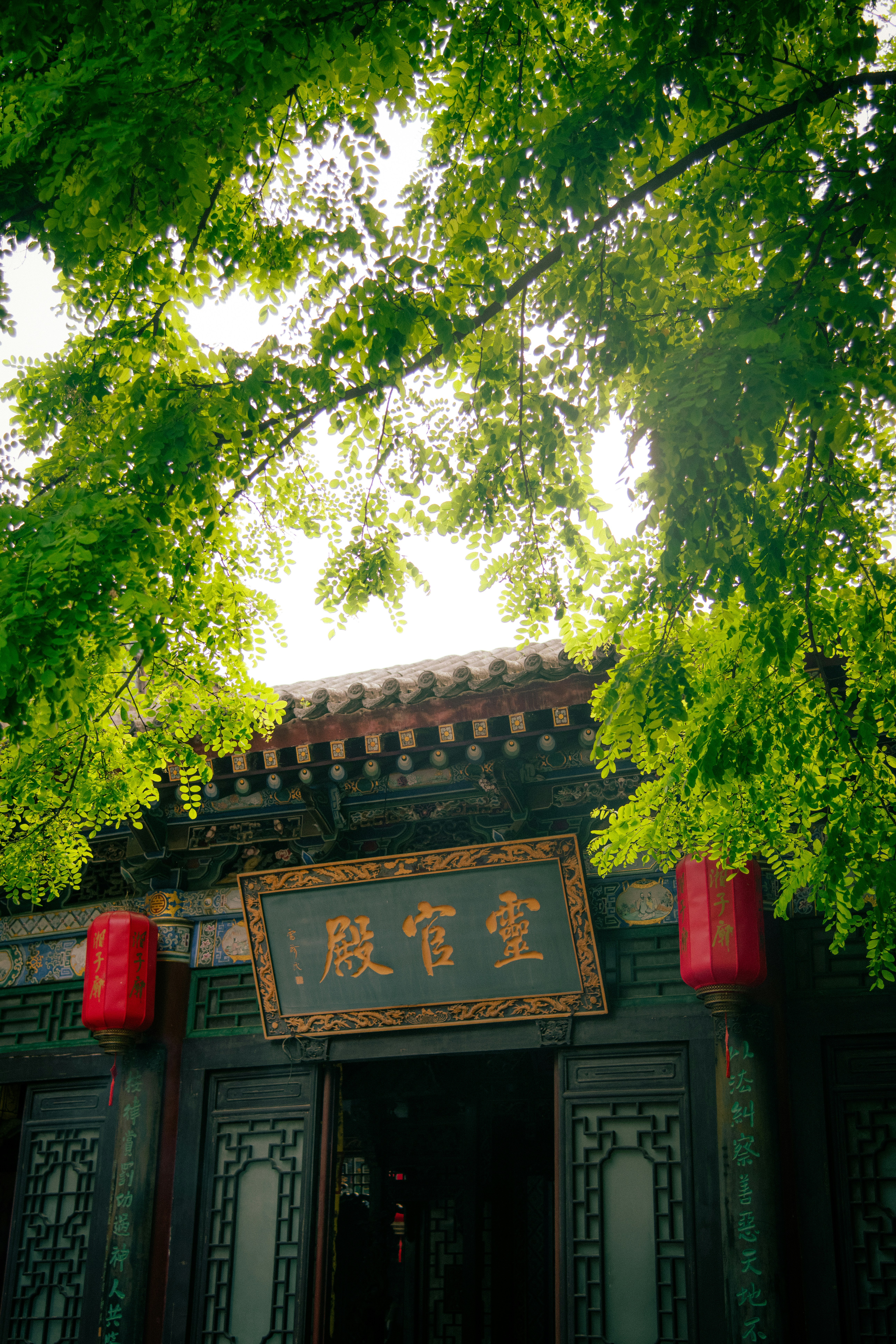 Green Canopy Over an Ancient Gate