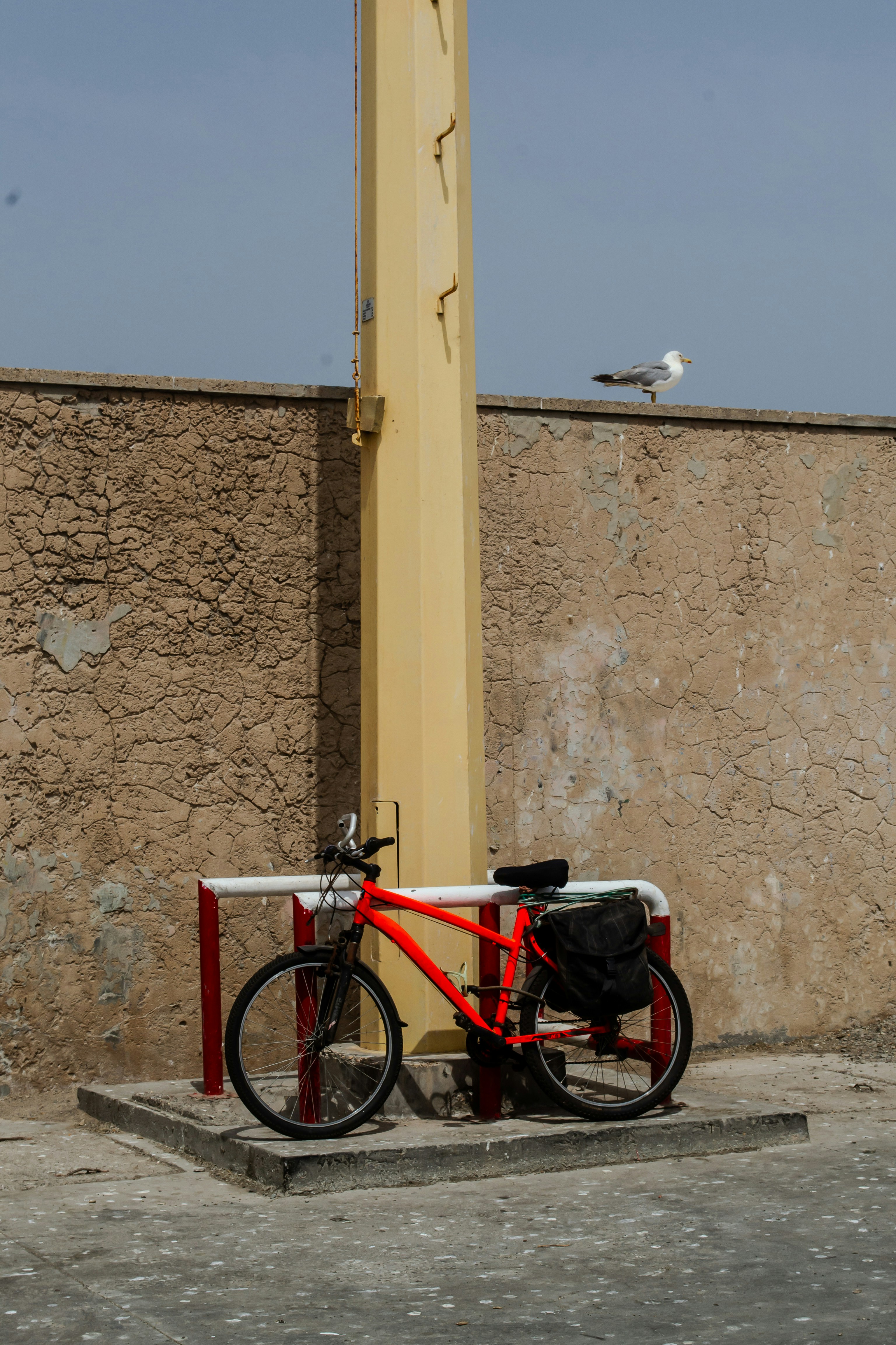 Red Bicycle and Seagull Above a Weathered Wall
