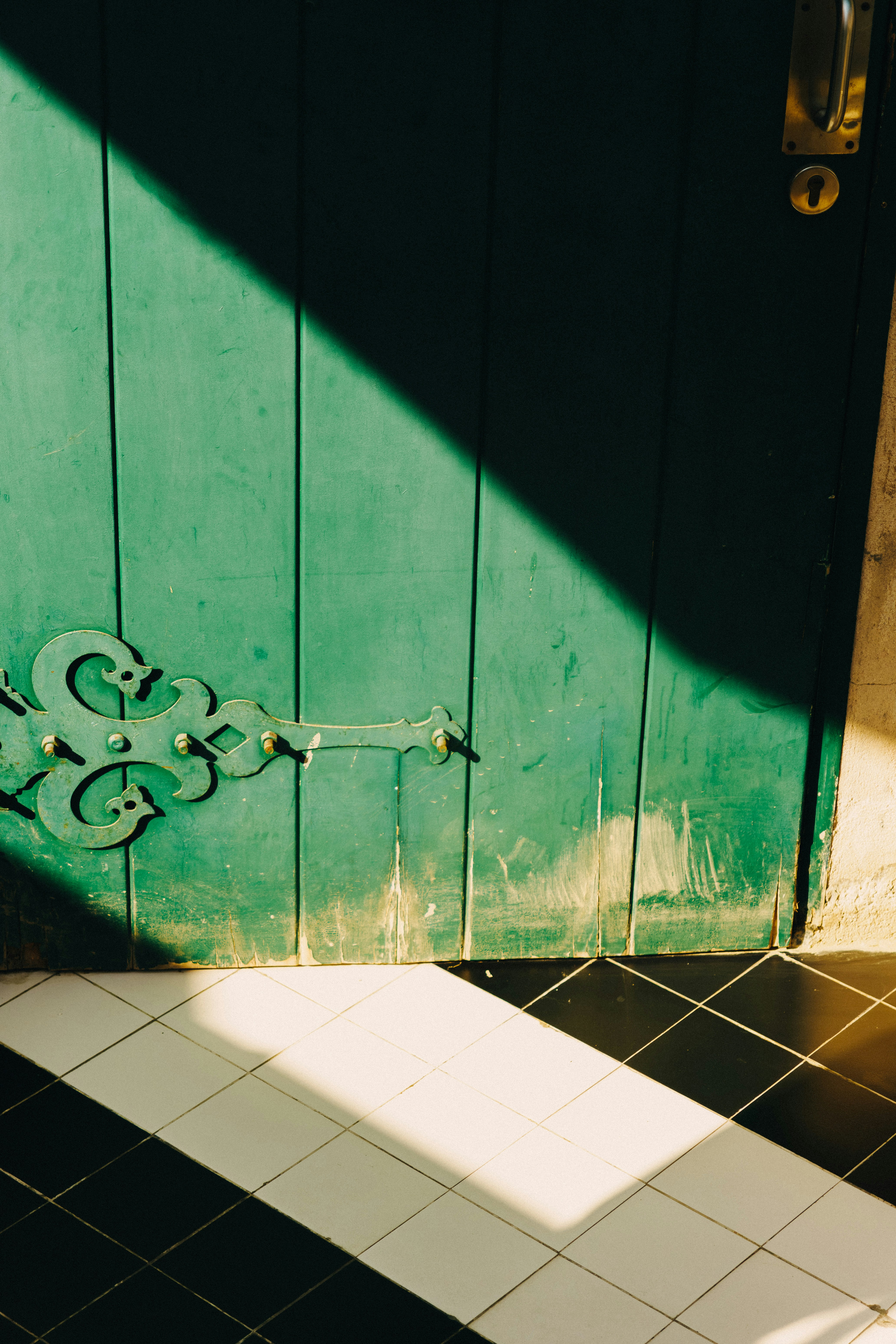 Shade and Shadow on a Verdant Door