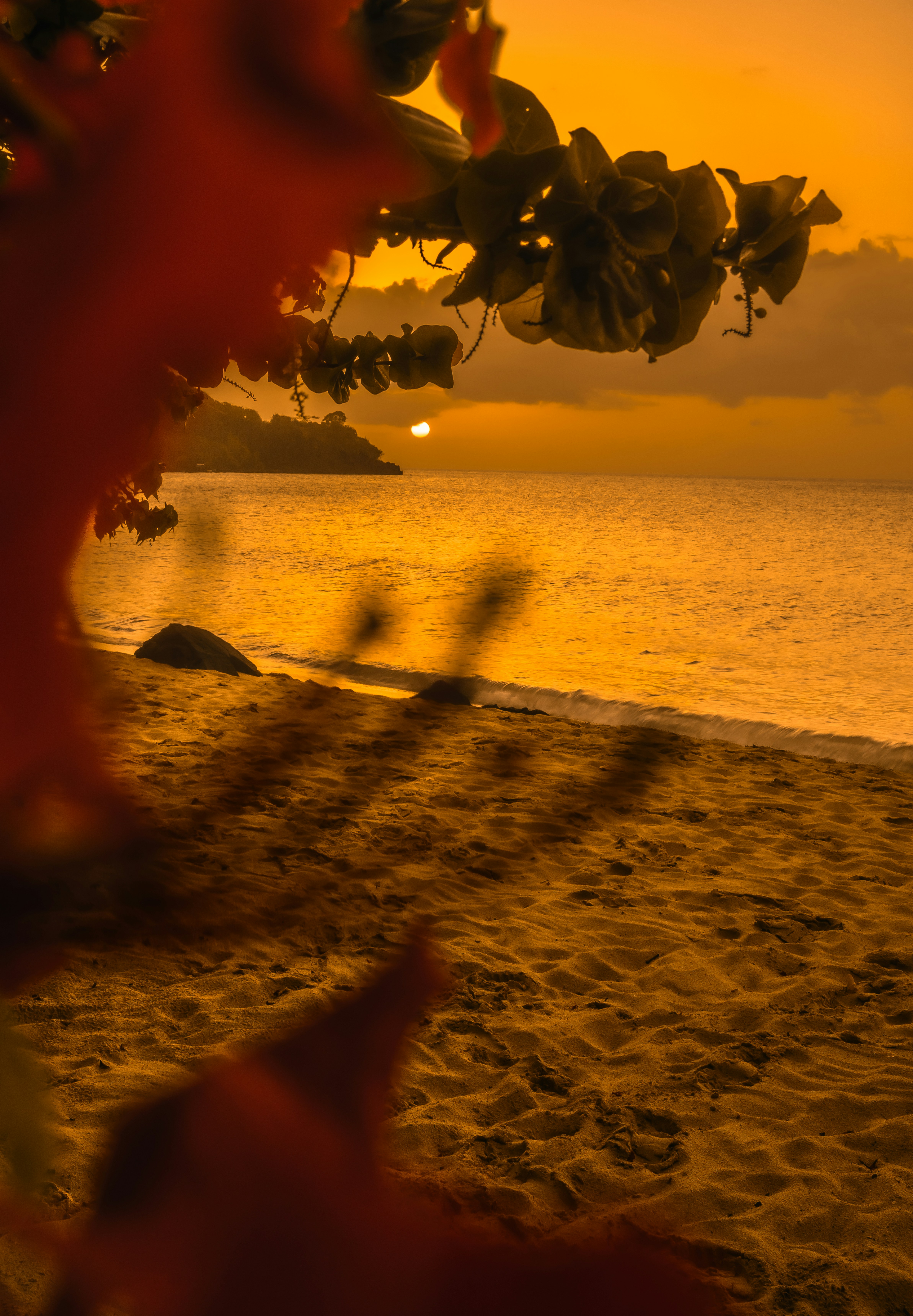 Golden Hour Veil Over Coastal Sand