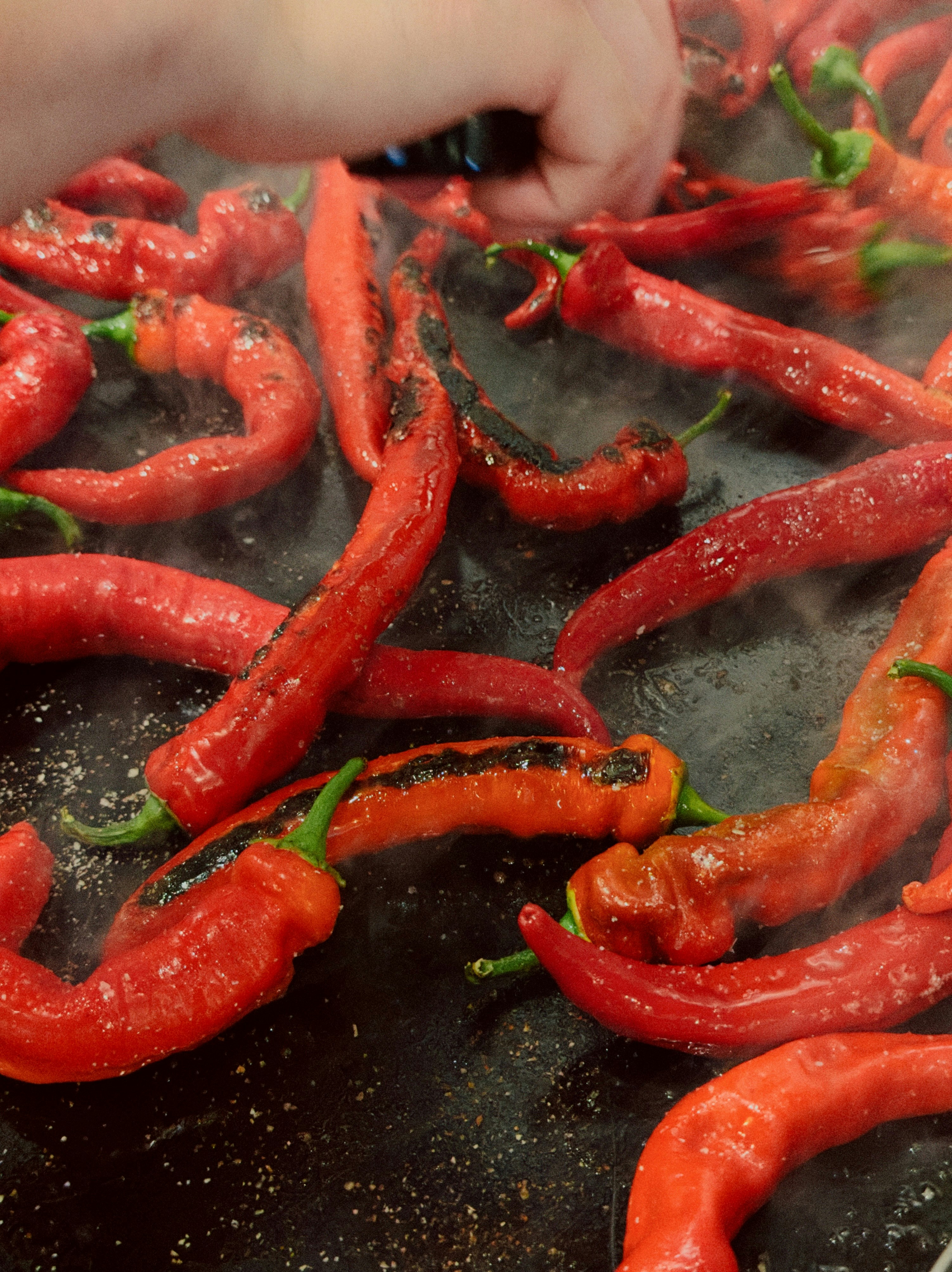 Red Peppers in Pan: A Sizzle of Color and Heat