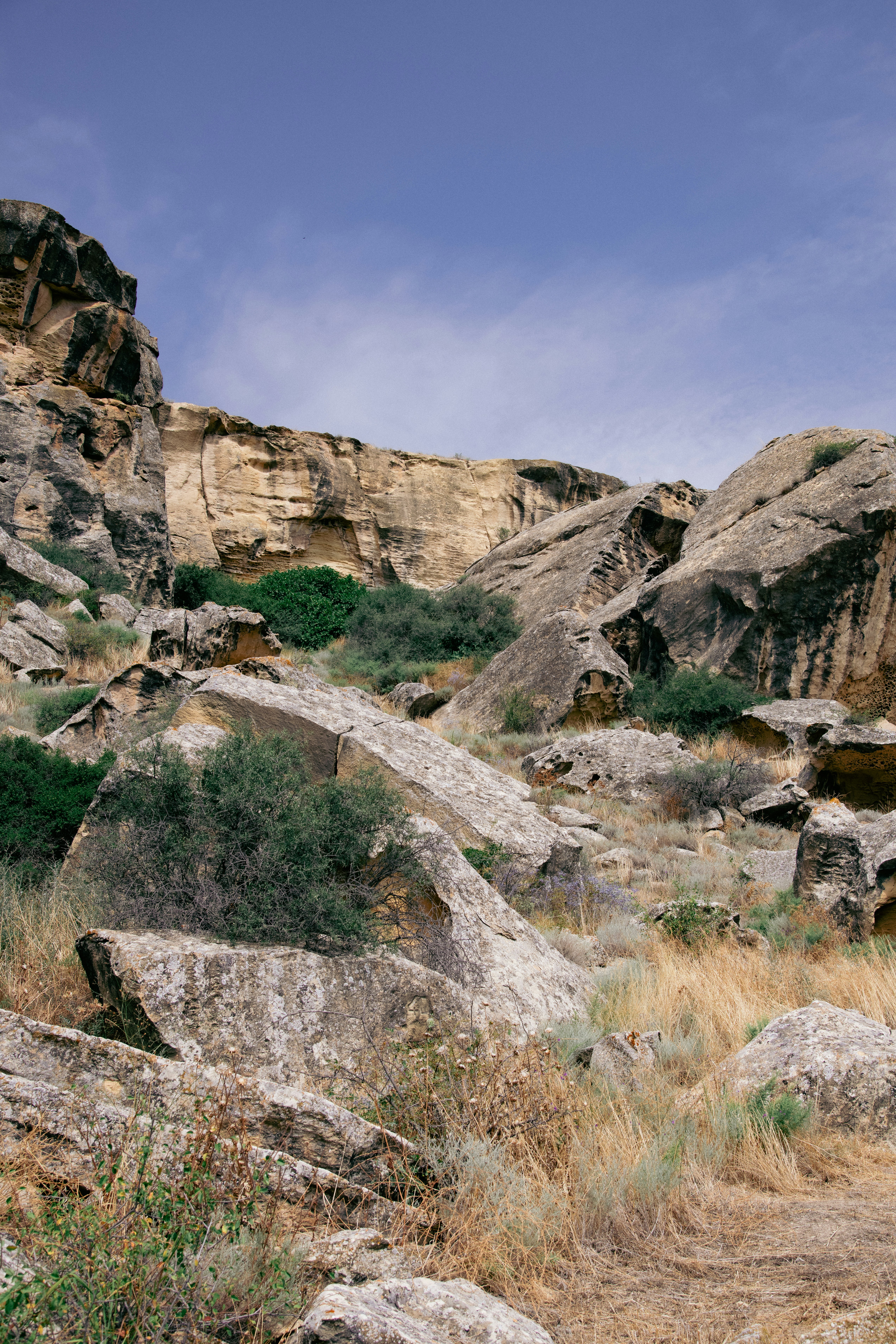 Stone Serpent of the Canyon: A Quiet Ridge Between Sky and Rock