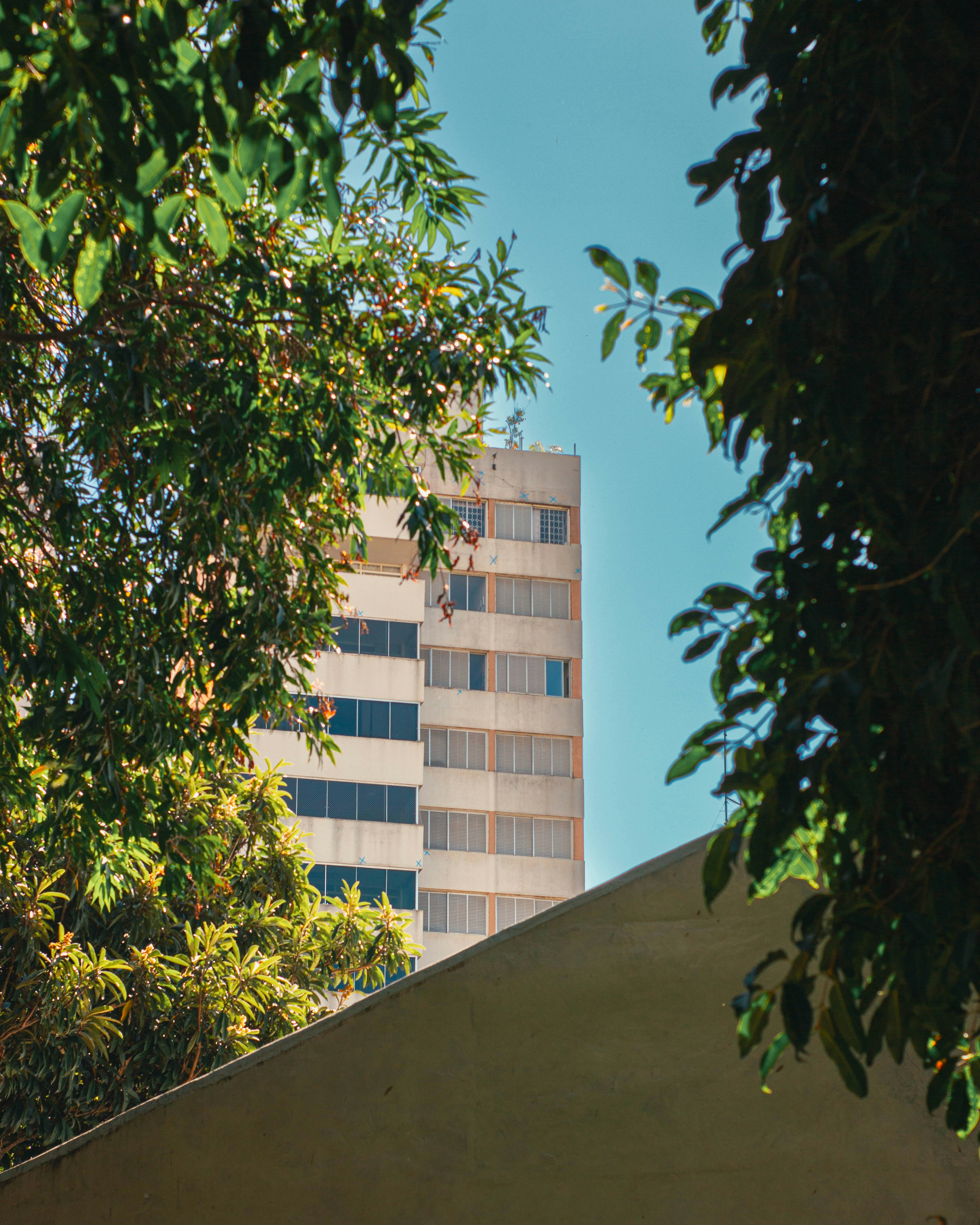 Urban Sunlit Facade through Framing Foliage