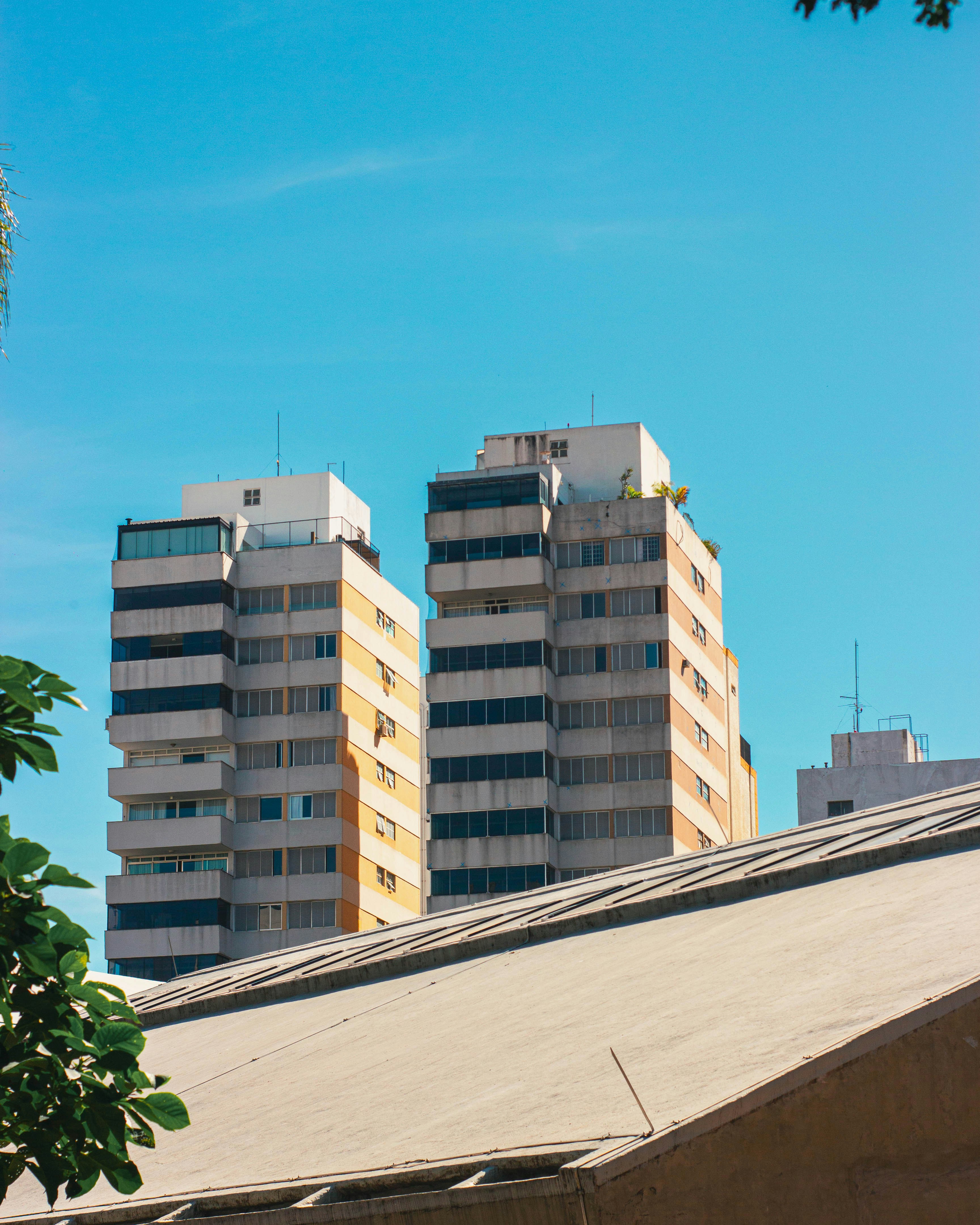 Urban Towers Reach for a Clear Sky
