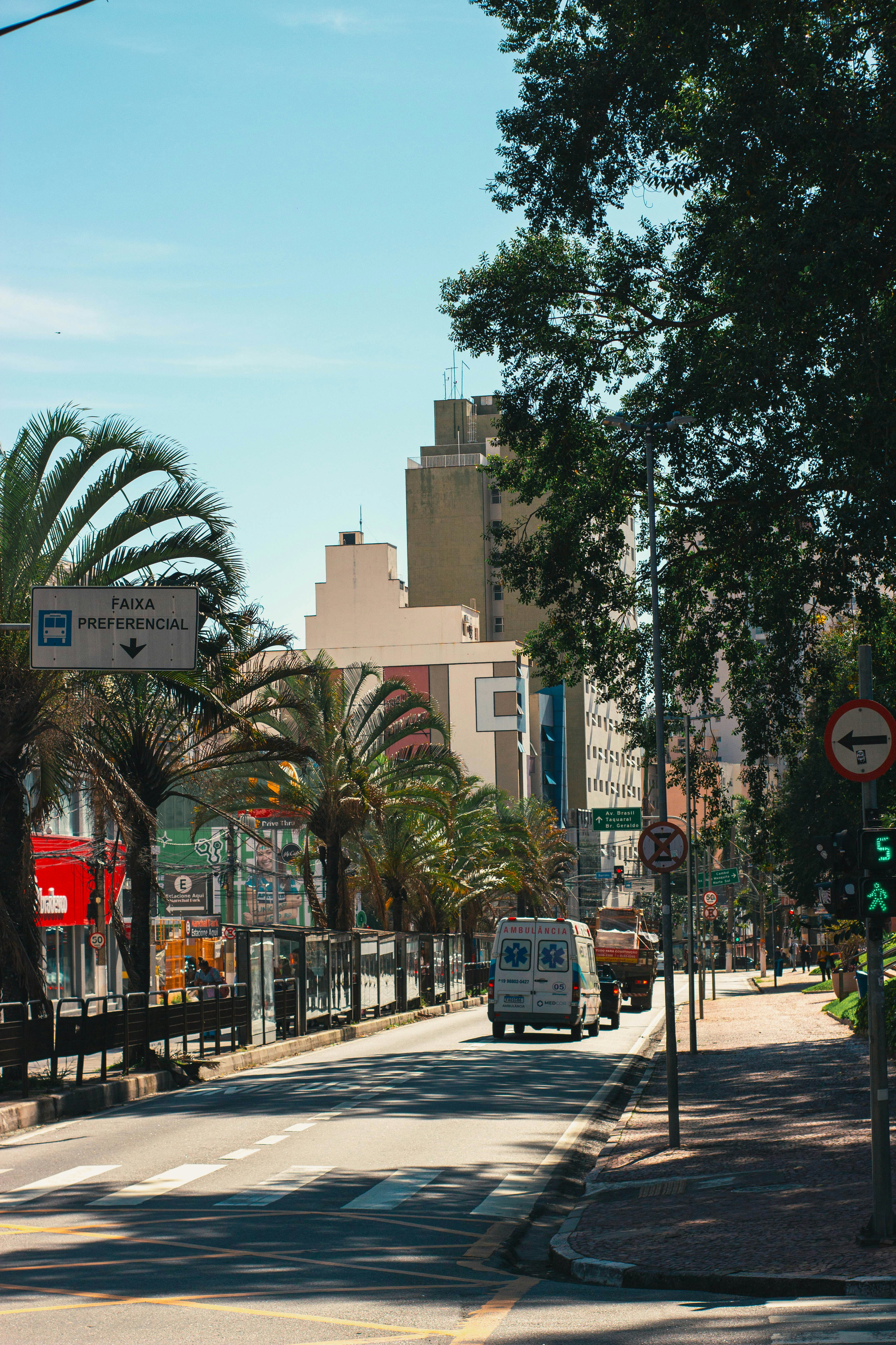 Urban Boulevard in Sunlit Palm Street