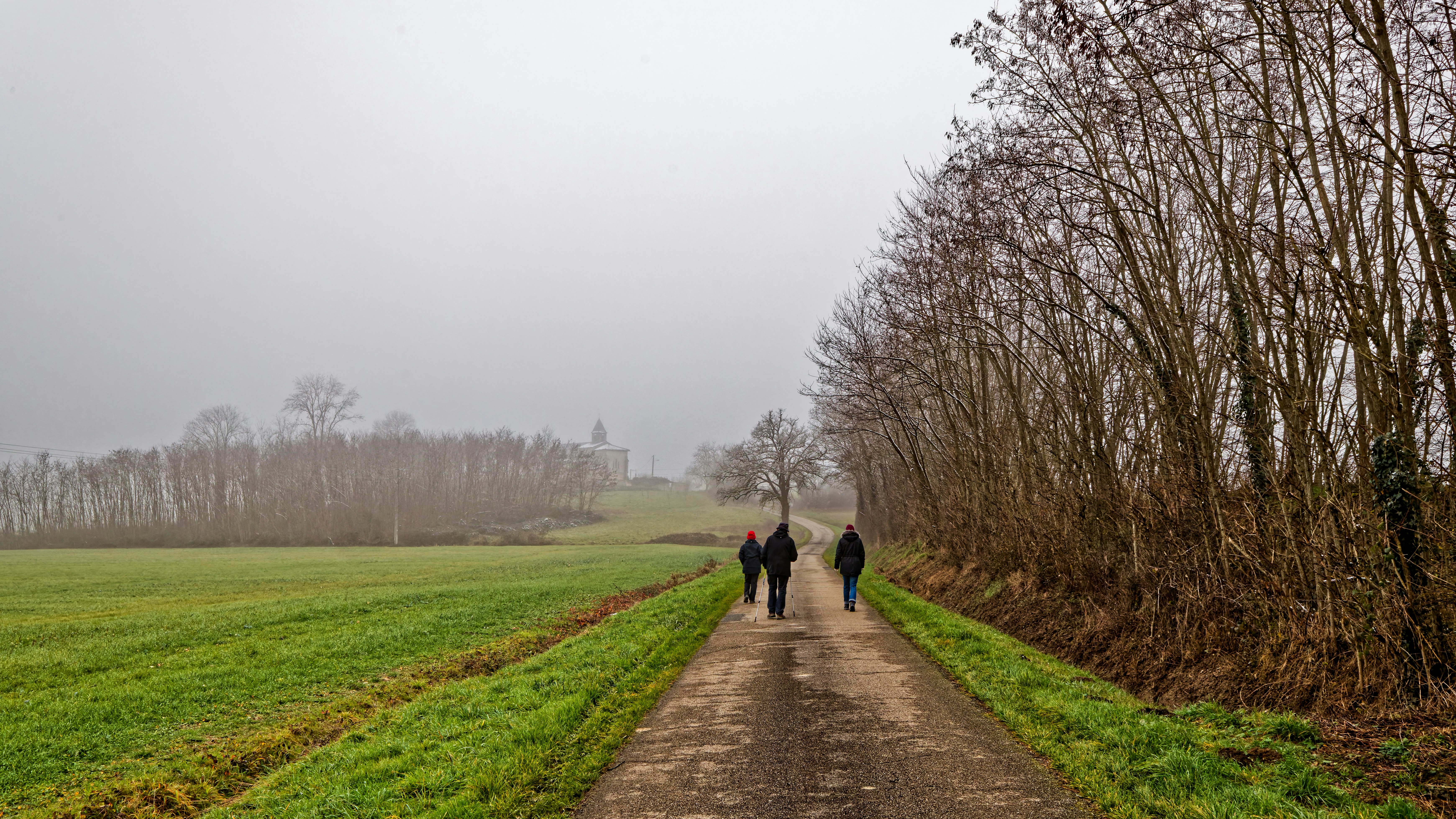 Winter Walk Along a Fallow Road