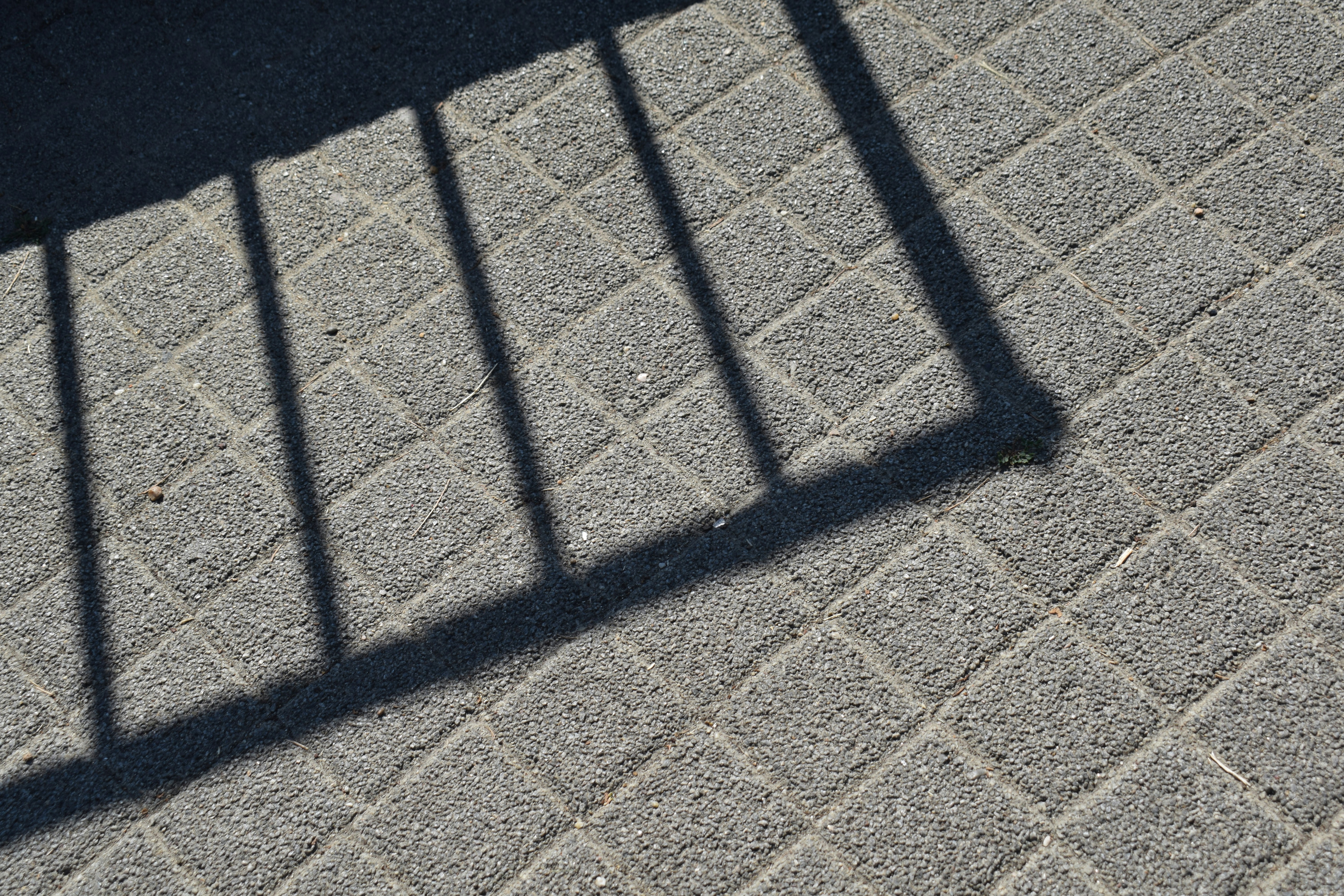 Shadowed Grid: A Quiet Play of Light and Lines