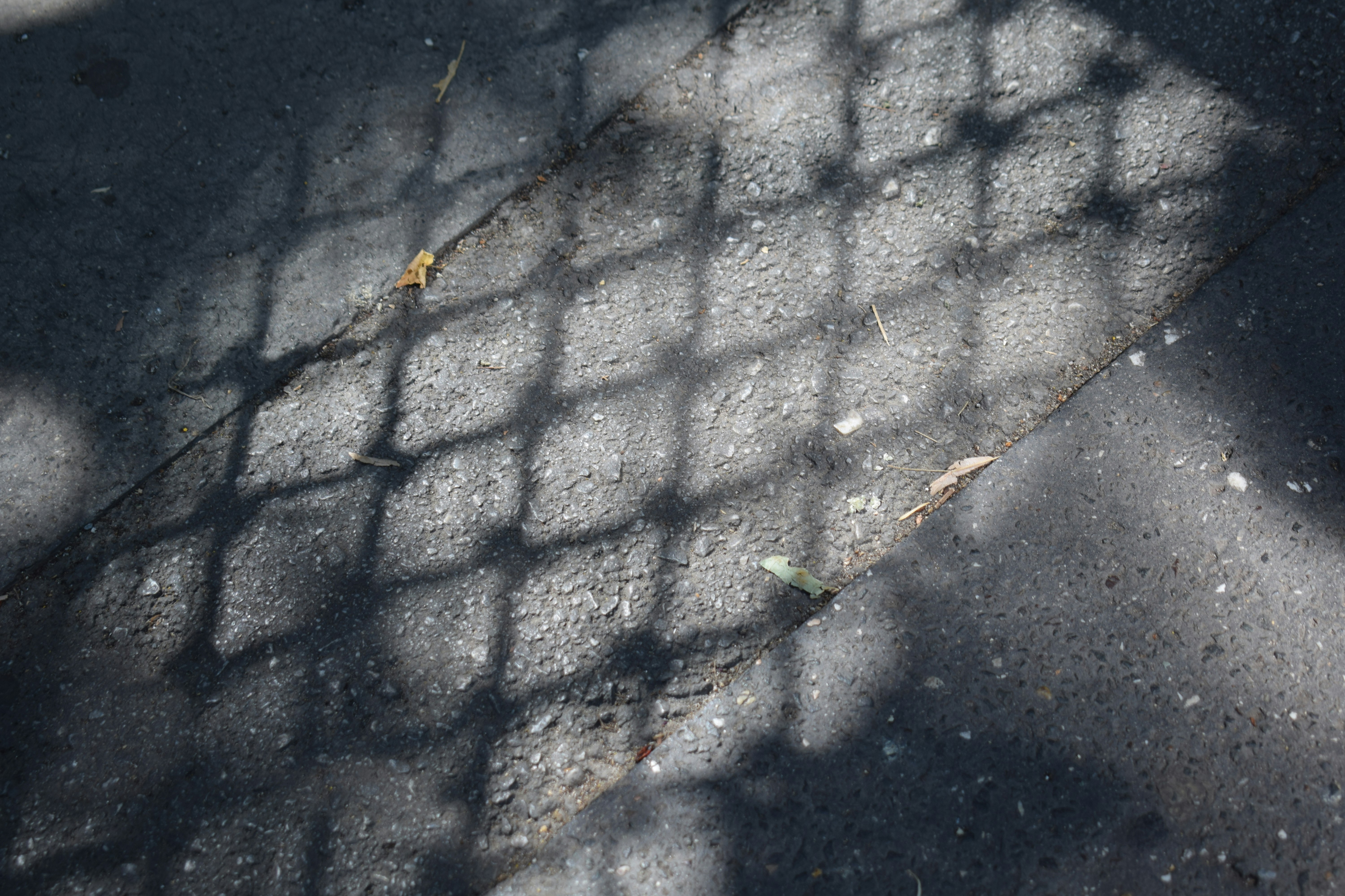 Shadows on a Concrete Path: Interwoven Lattice and Fallen Light